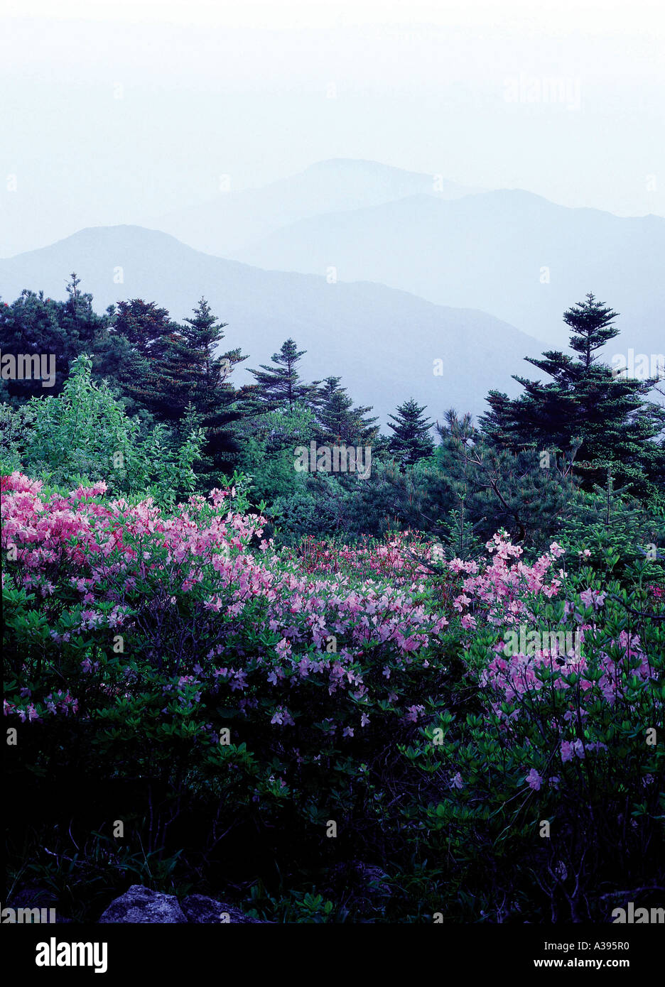 Chiri mountain hi-res stock photography and images - Alamy