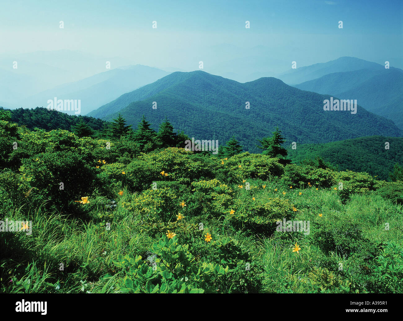Chiri mountain hi-res stock photography and images - Alamy