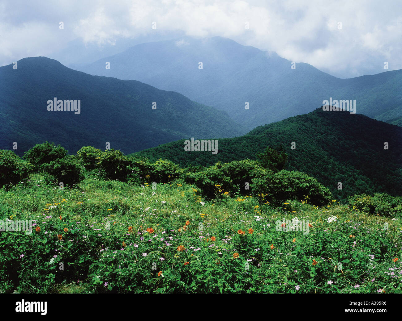 Chiri mountain hi-res stock photography and images - Alamy