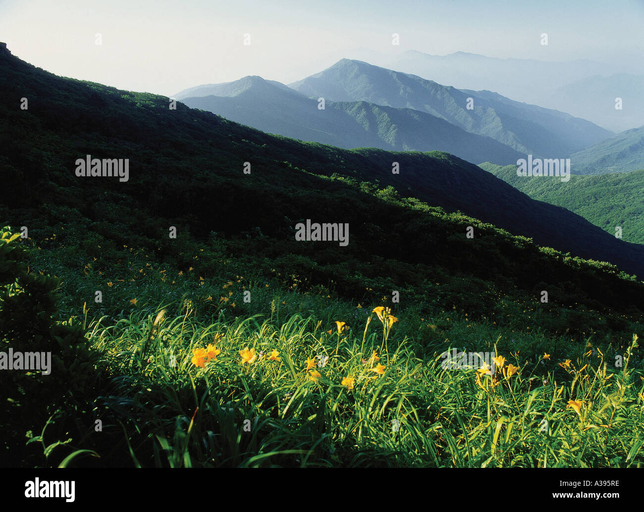Chiri mountain hi-res stock photography and images - Alamy