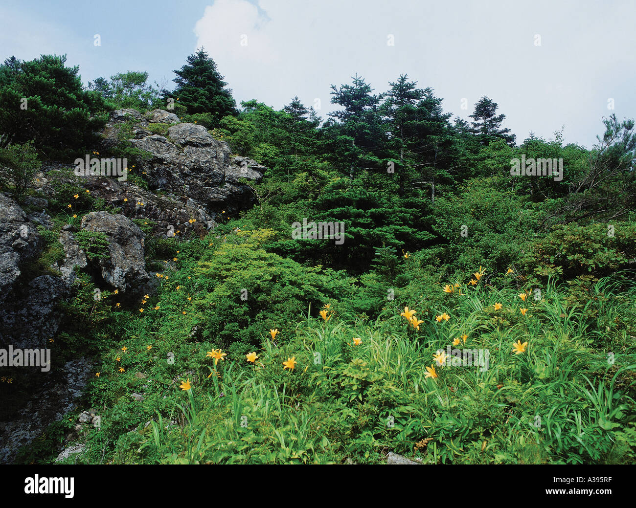 Chiri mountain hi-res stock photography and images - Alamy