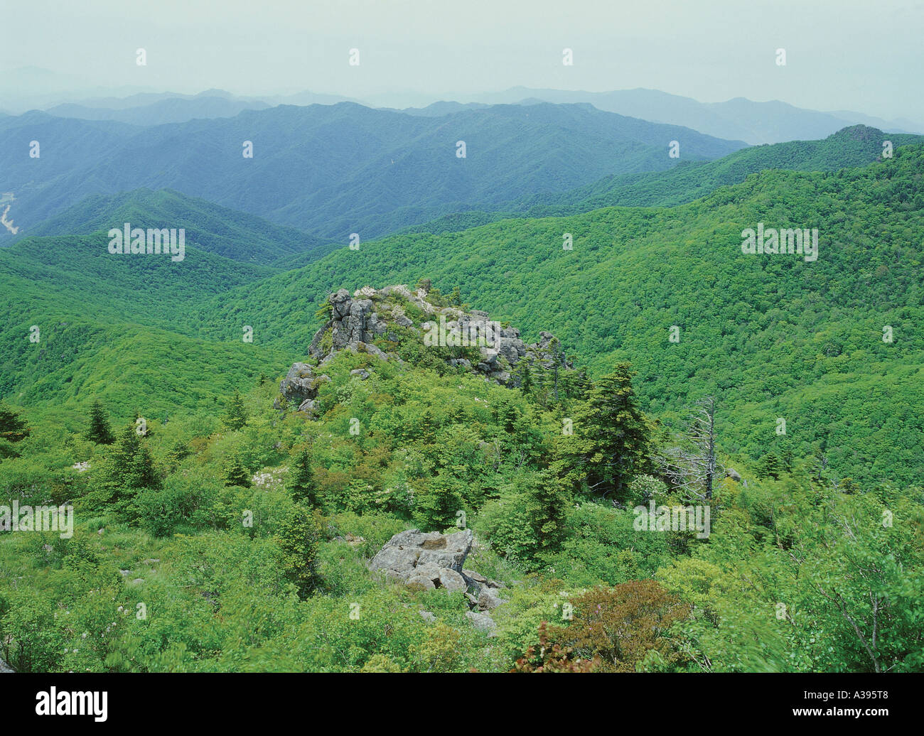 Chiri mountain hi-res stock photography and images - Alamy