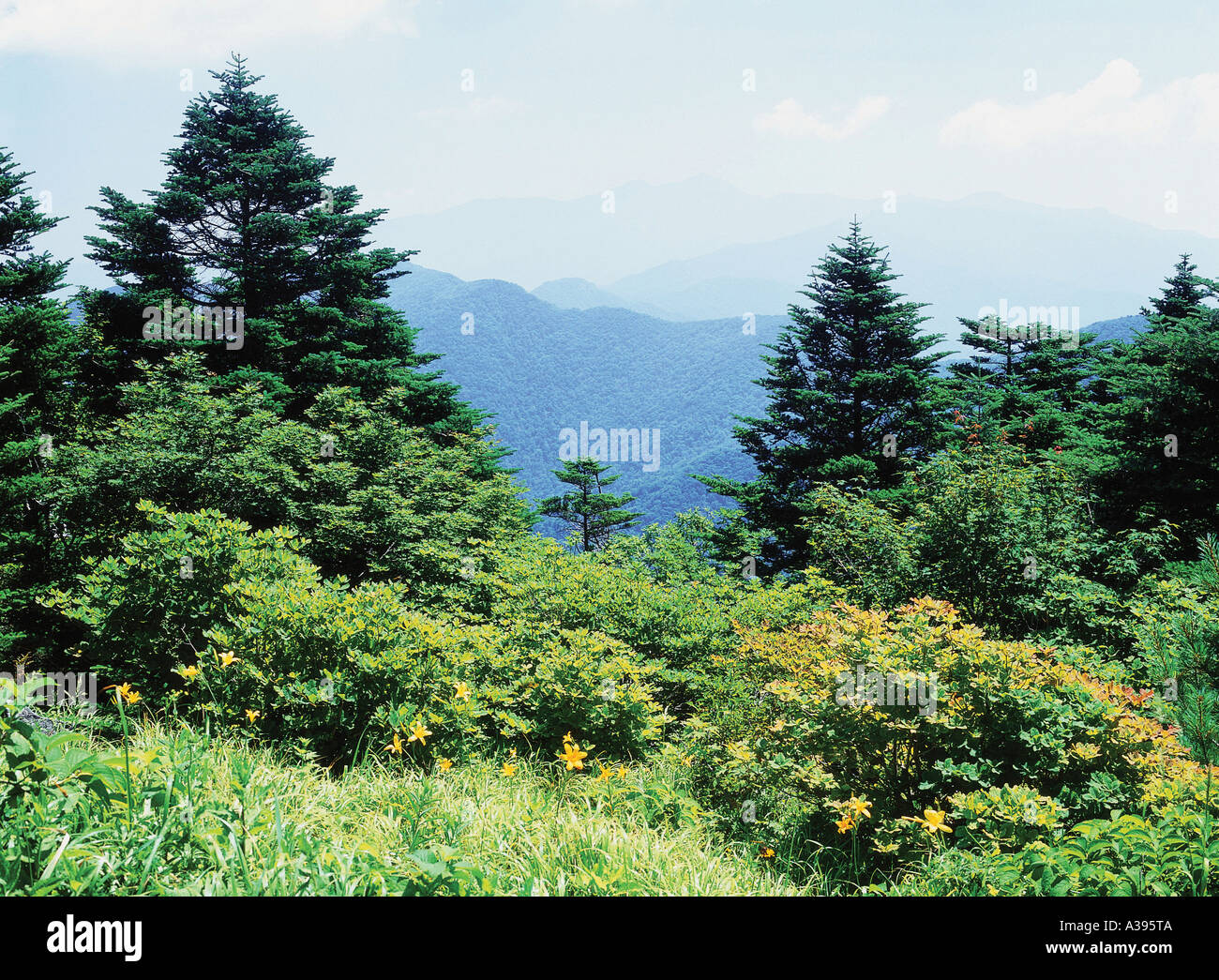 Chiri mountain hi-res stock photography and images - Alamy