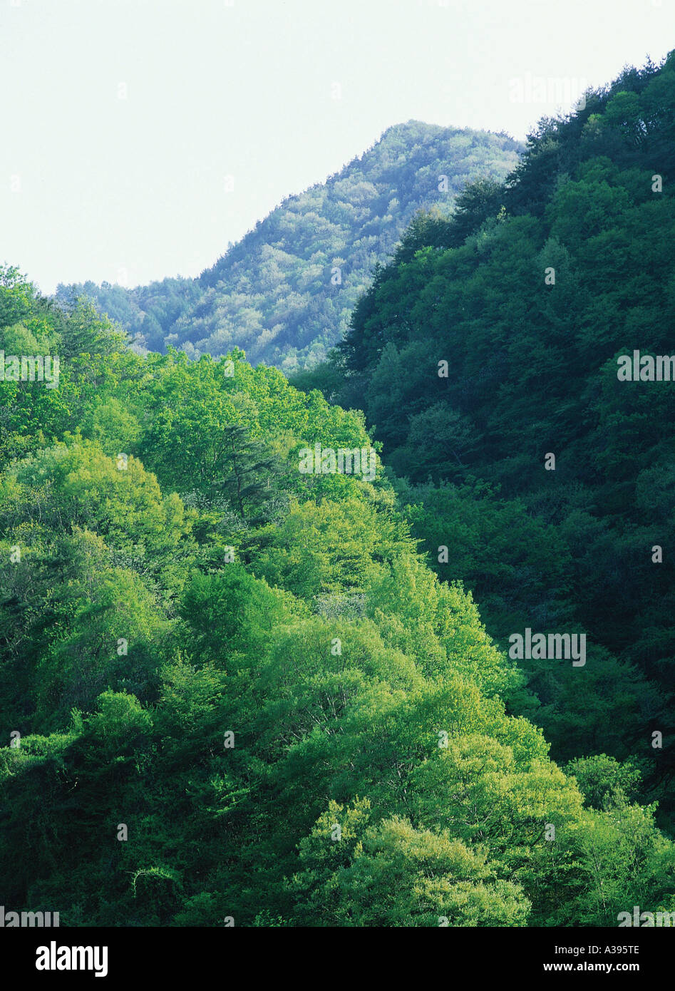 Chiri mountain hi-res stock photography and images - Alamy