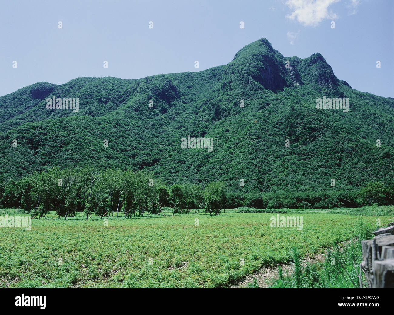 Chiri mountain hi-res stock photography and images - Alamy