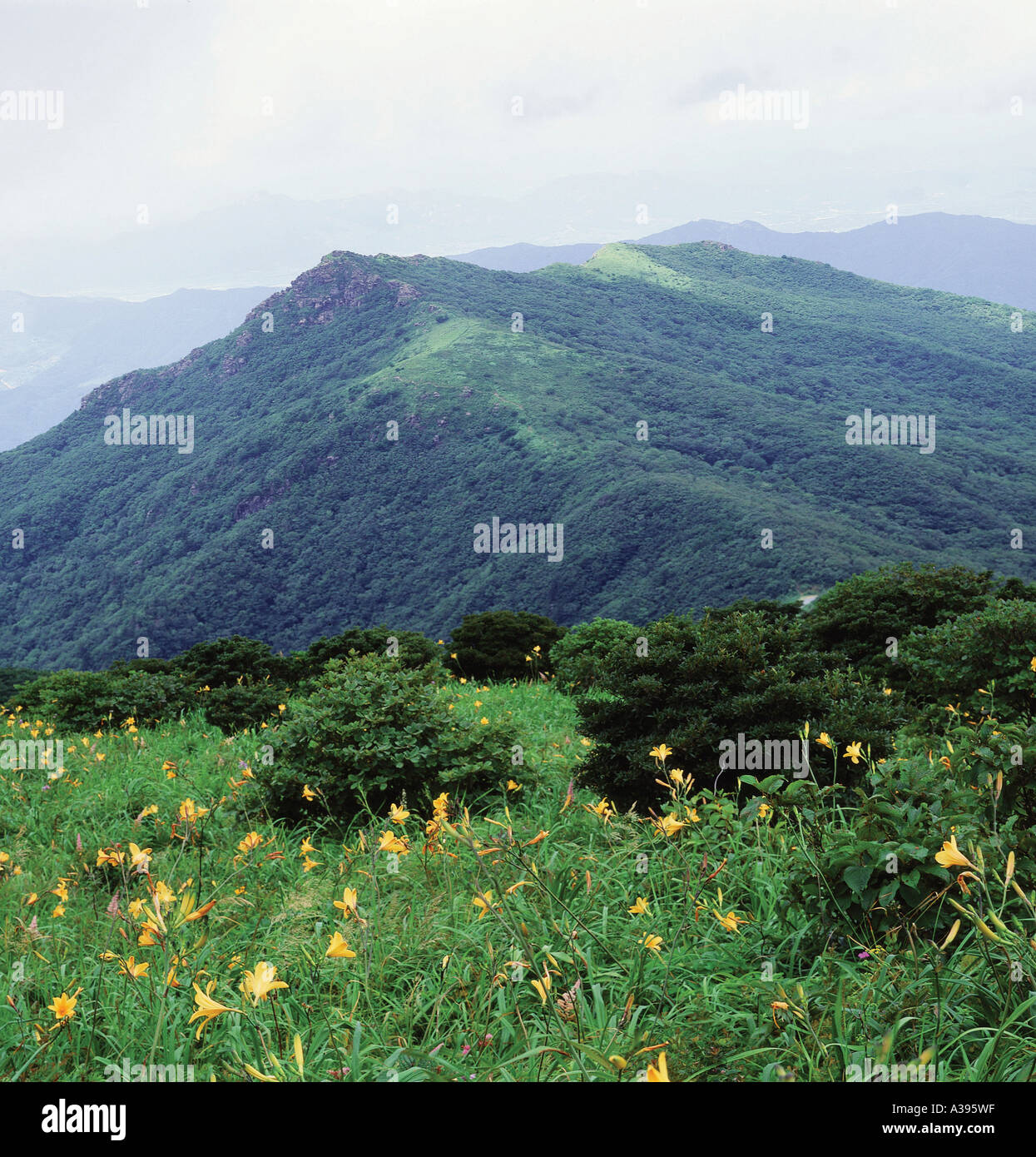 Chiri mountain hi-res stock photography and images - Alamy