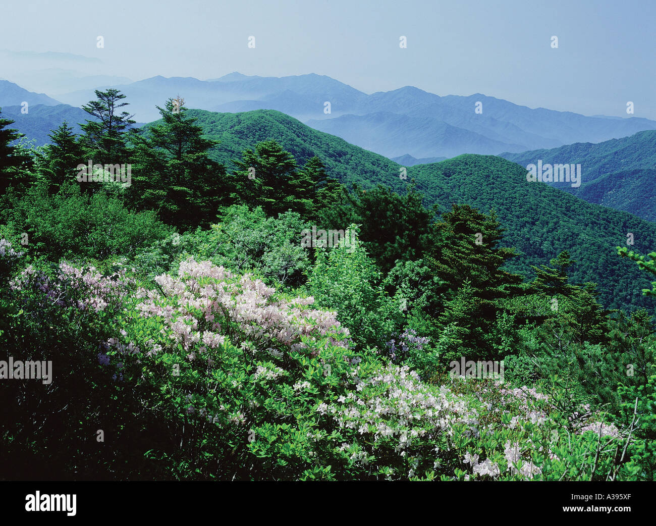 Chiri mountain hi-res stock photography and images - Alamy