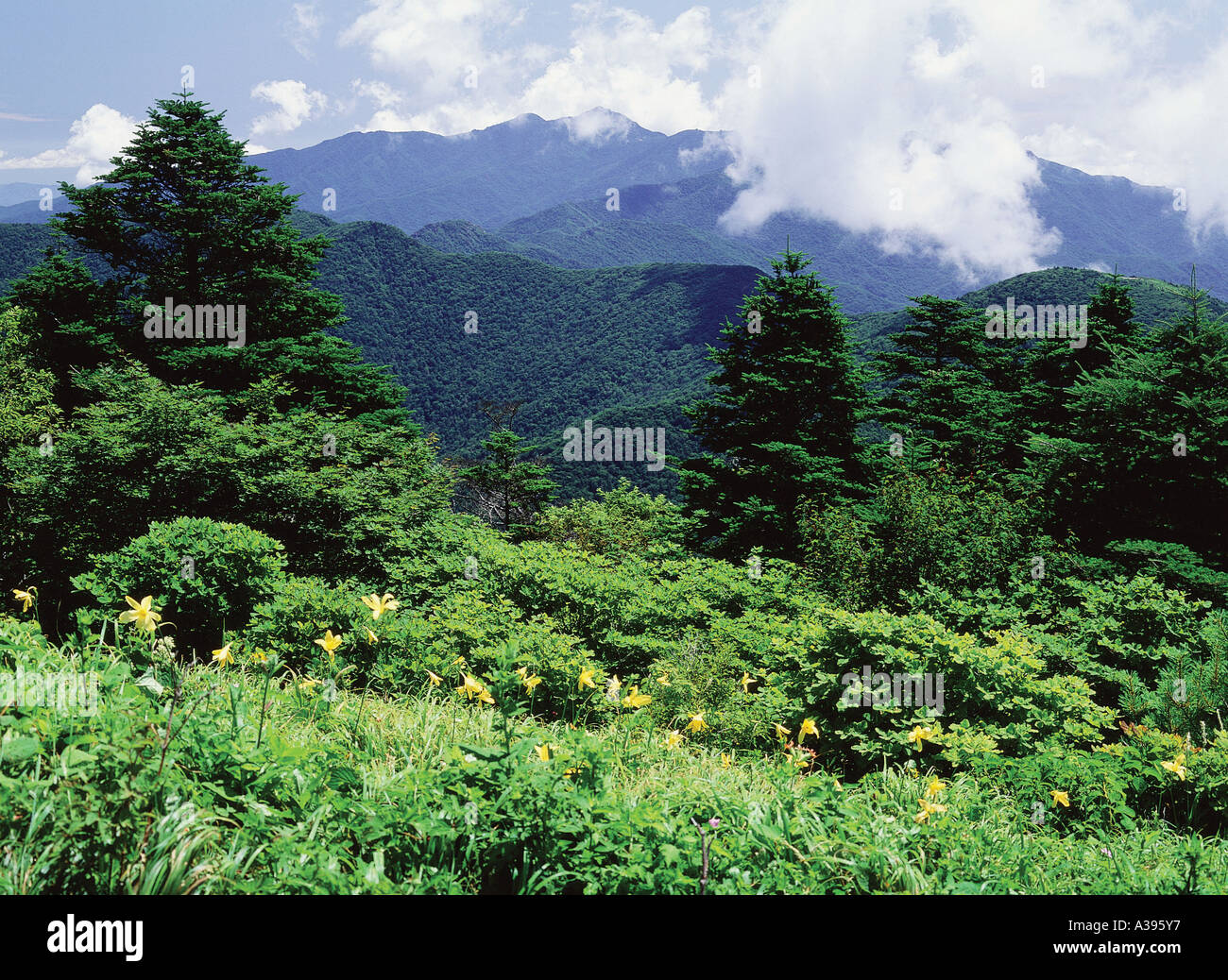 Chiri mountain hi-res stock photography and images - Alamy