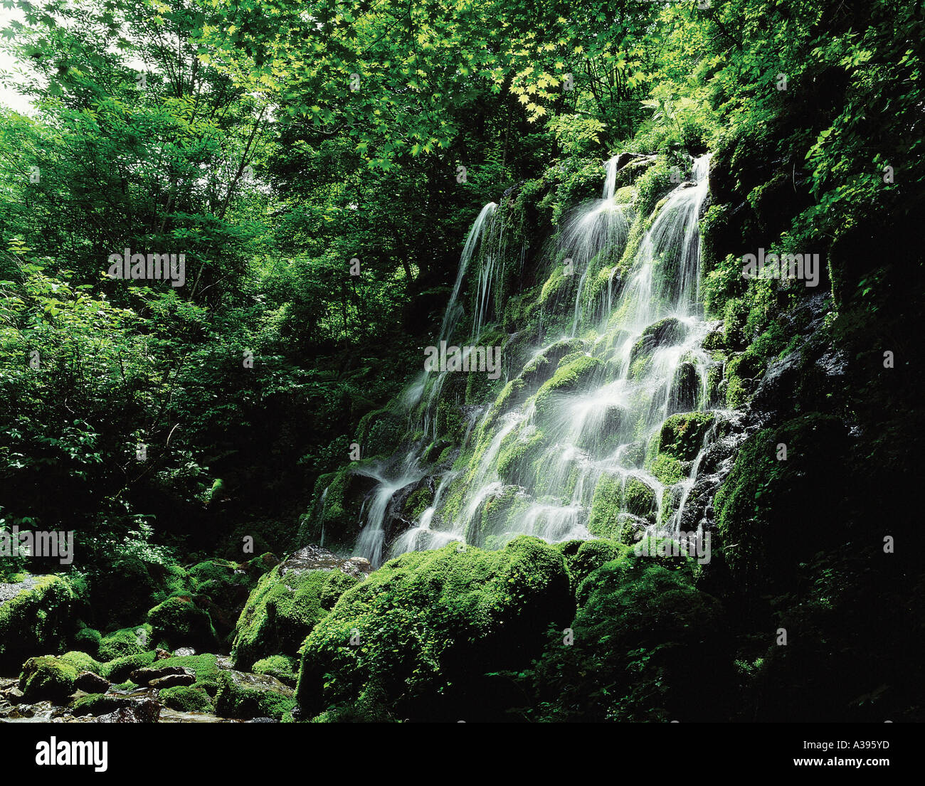 Chiri mountain hi-res stock photography and images - Alamy
