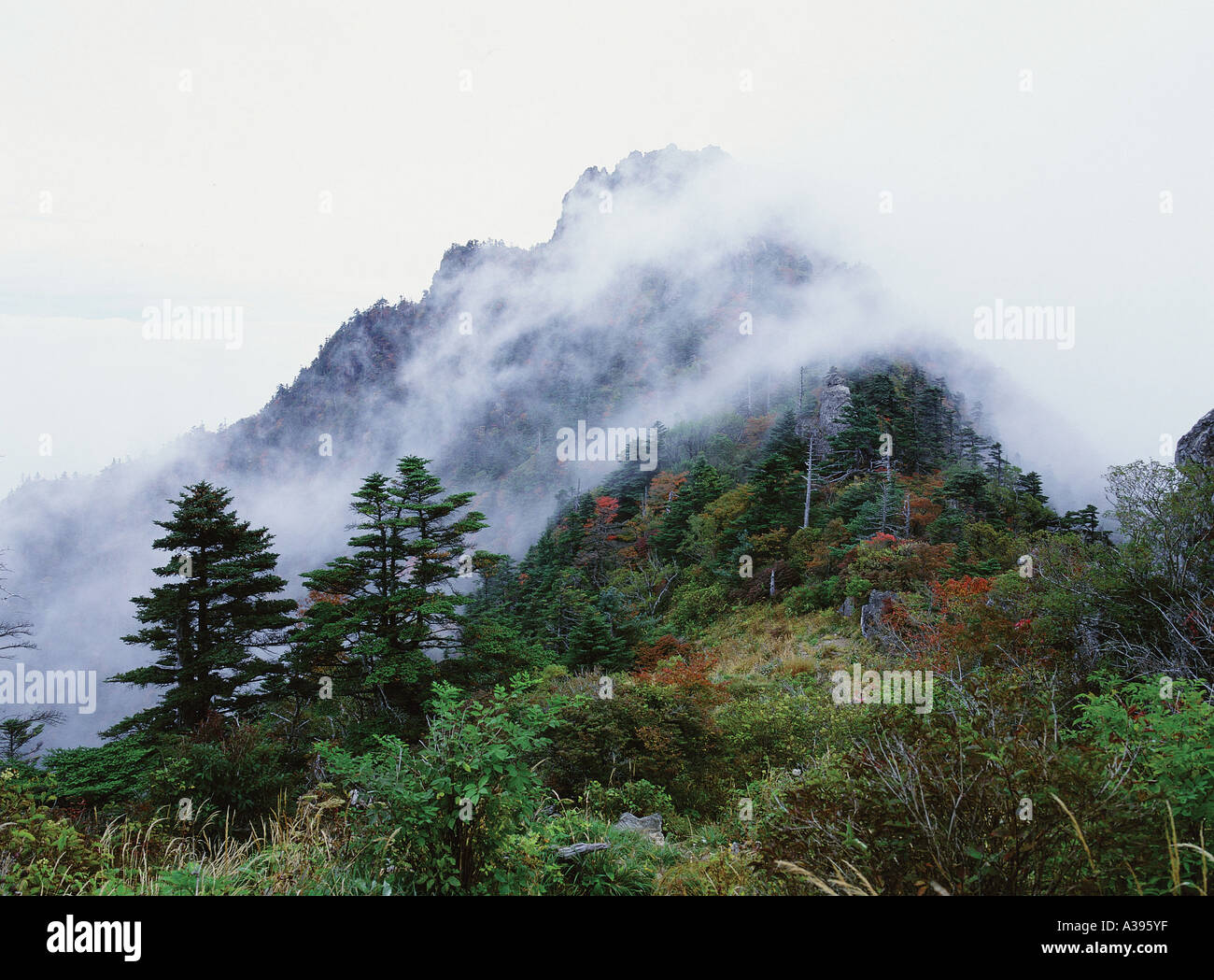 Chiri mountain hi-res stock photography and images - Alamy