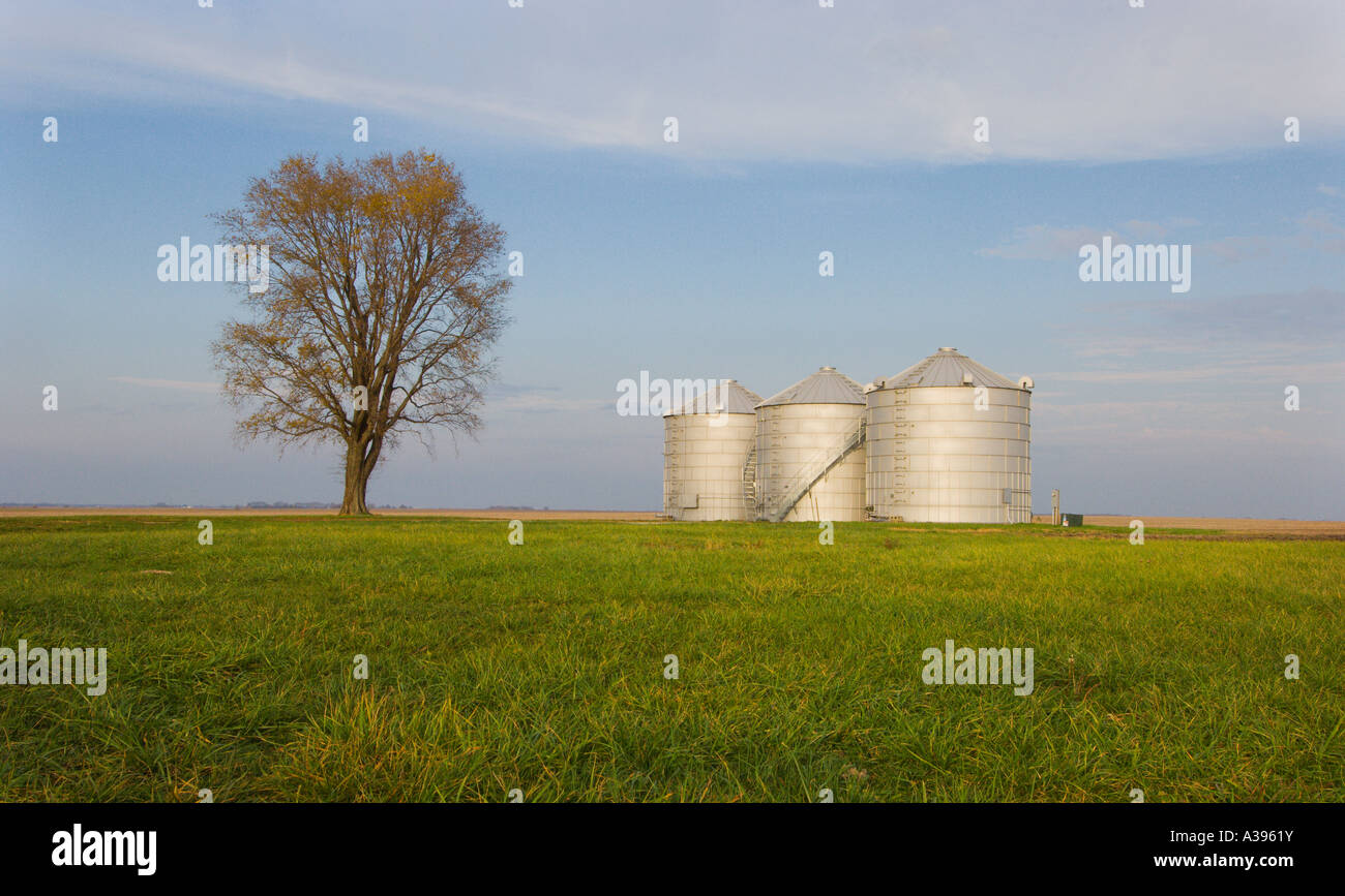 Farm grain bins and tree in rural Illinois Stock Photo - Alamy