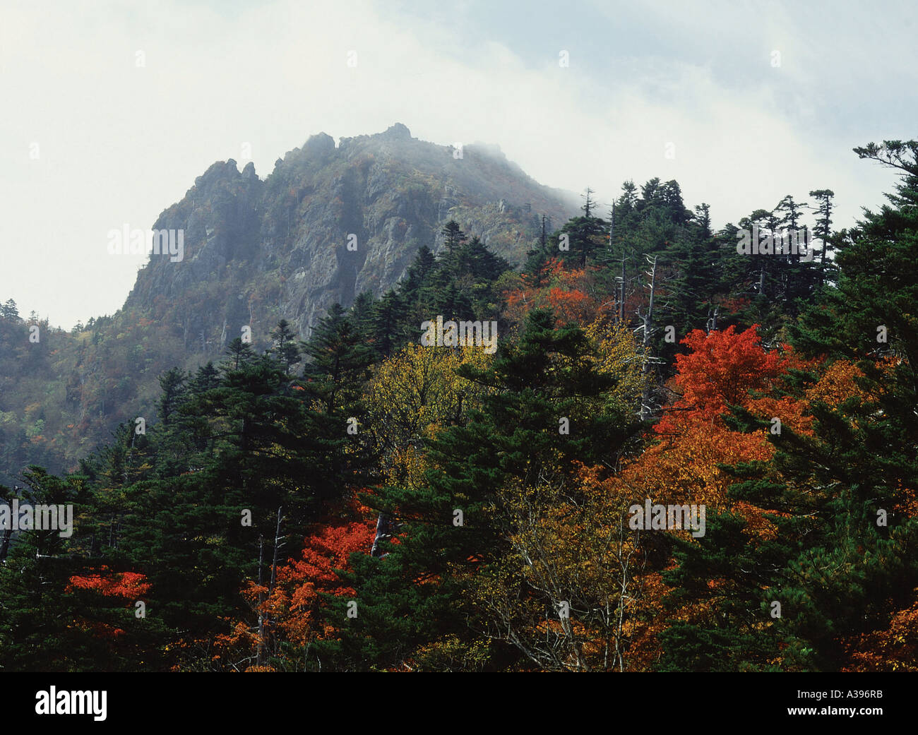 Outdoor exterior day daytime daylight nature scene scenery landscape ...