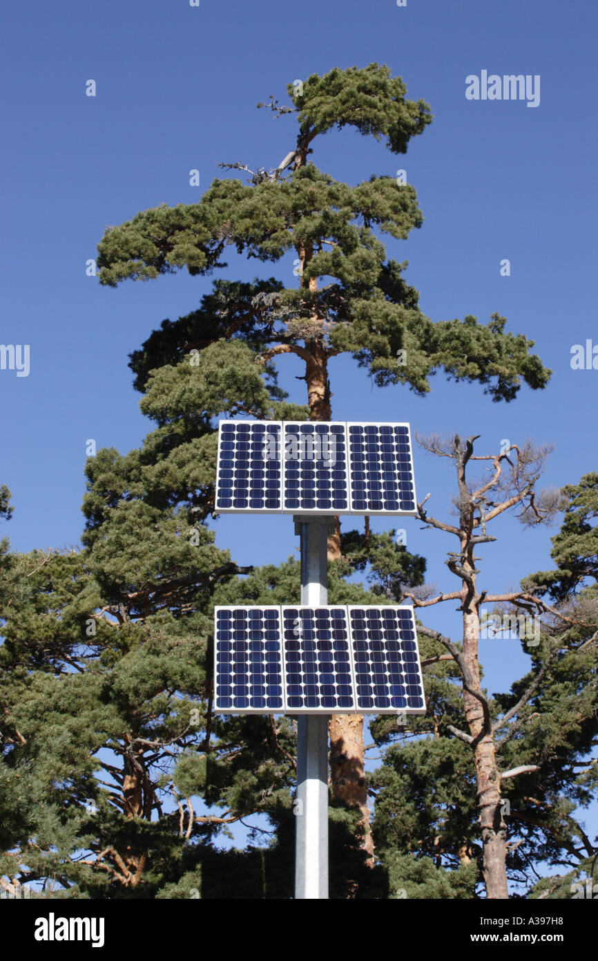 Solar Panels alongside Tree Stock Photo - Alamy