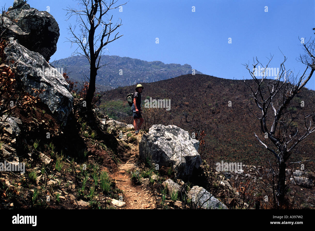 Nyanga Zimbabwe Stock Photos & Nyanga Zimbabwe Stock Images - Alamy