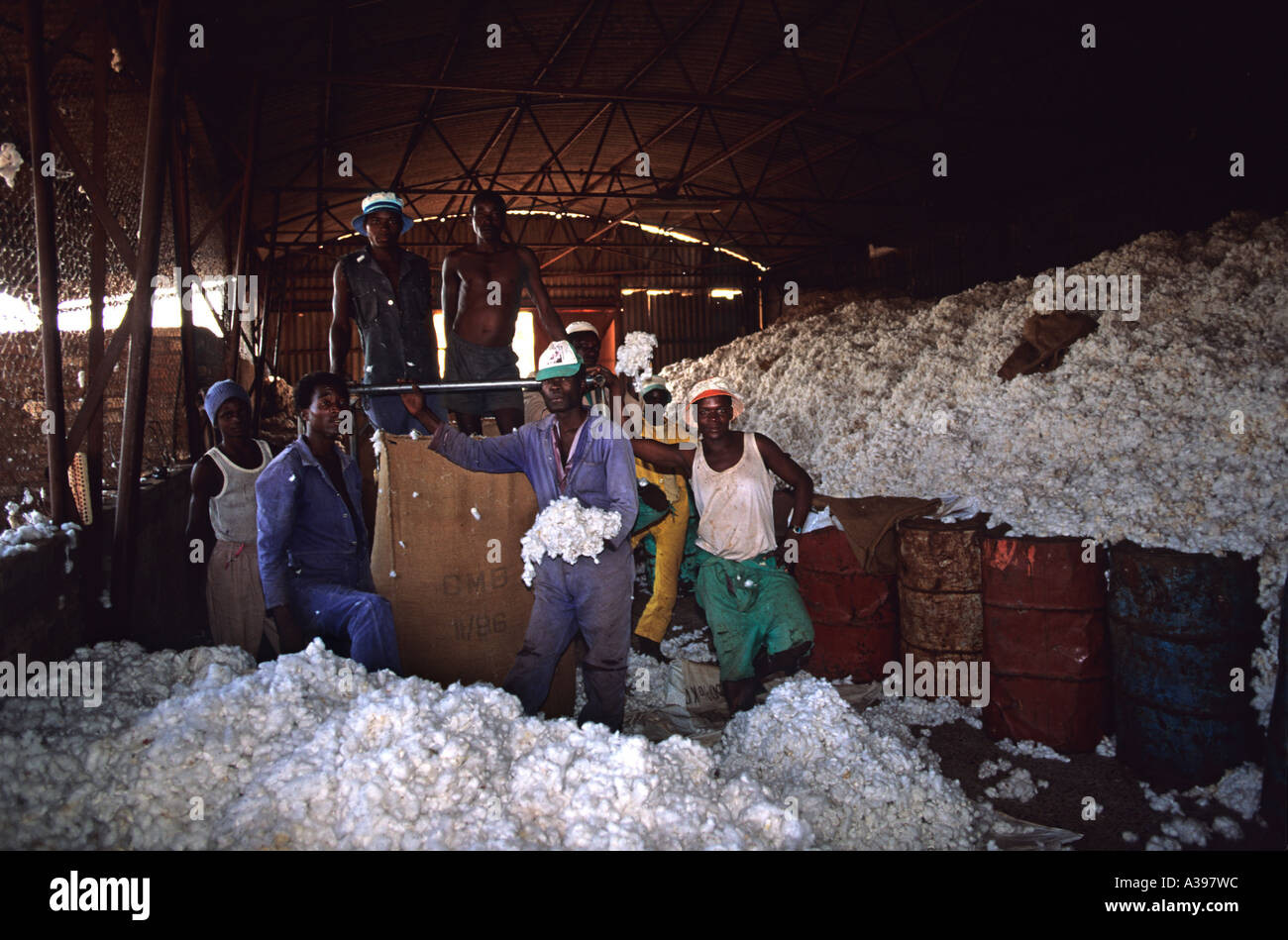 Zimbabwe farm workers hi-res stock photography and images - Alamy