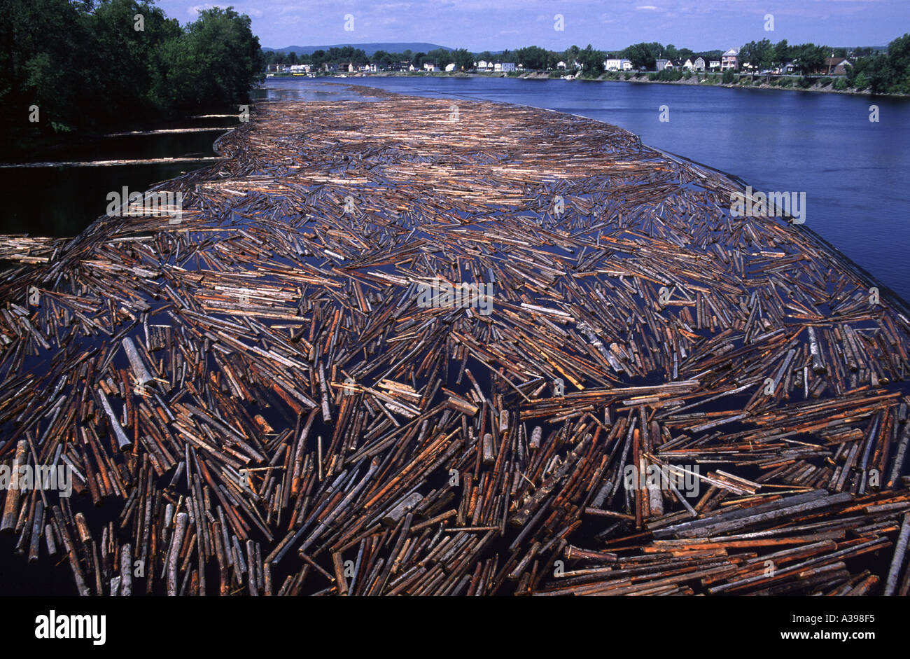 Timber logging canada quebec hi-res stock photography and images - Alamy