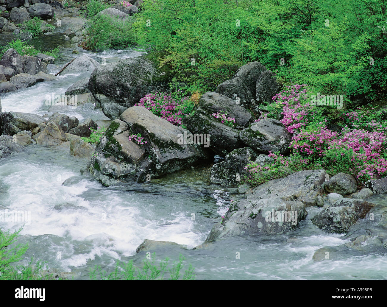 Valleywater hi-res stock photography and images - Alamy