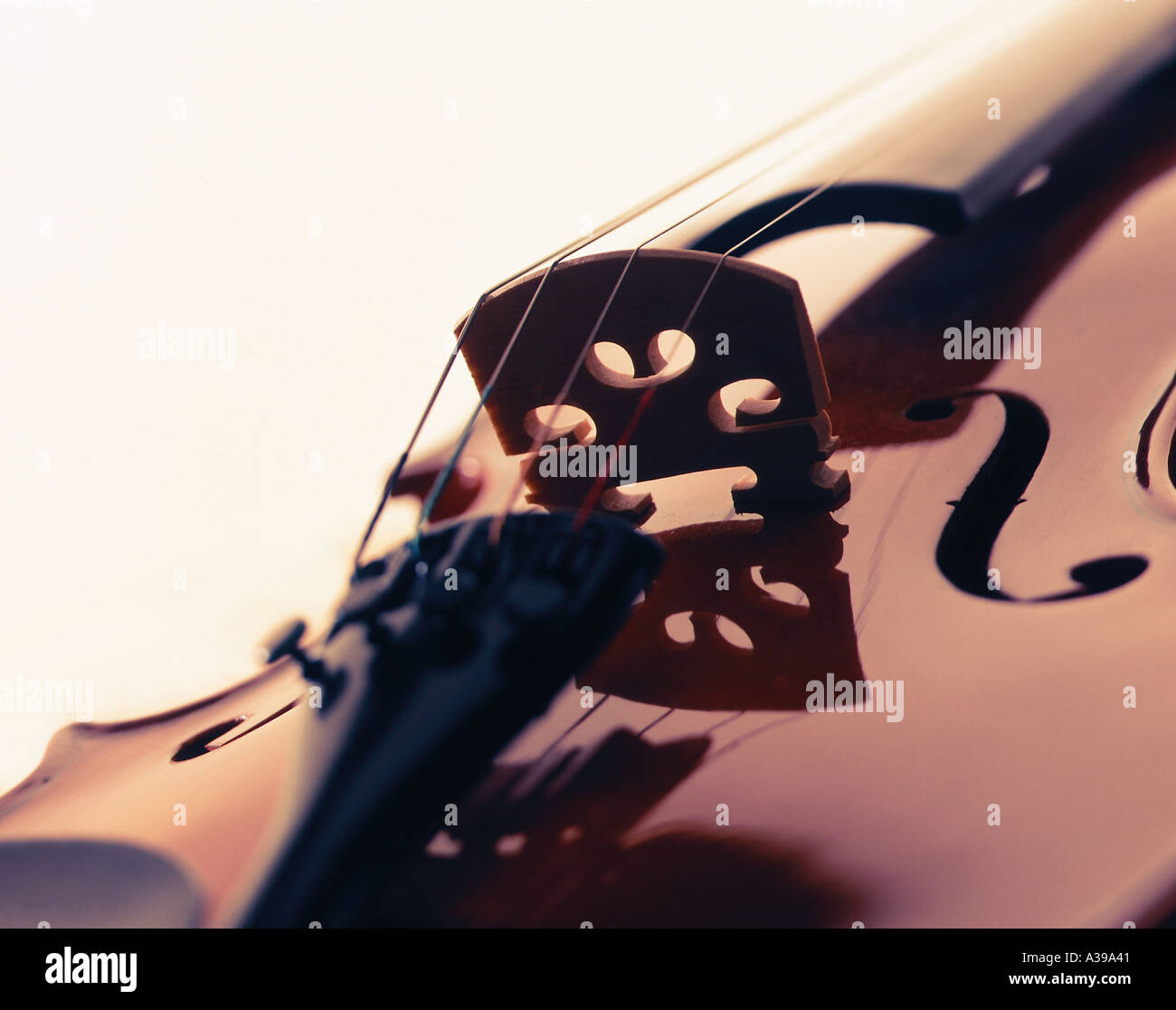 POLISHED LACQUERED REFLECTIVE WOOD BODY OF VIOLIN CLOSE UP Stock Photo ...