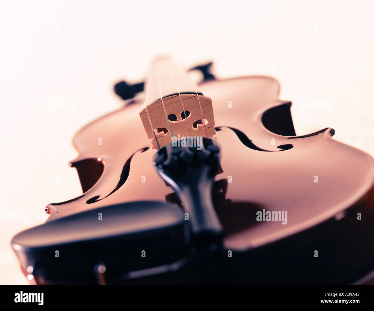 POLISHED LACQUERED REFLECTIVE WOOD BODY OF VIOLIN CLOSE UP Stock Photo ...