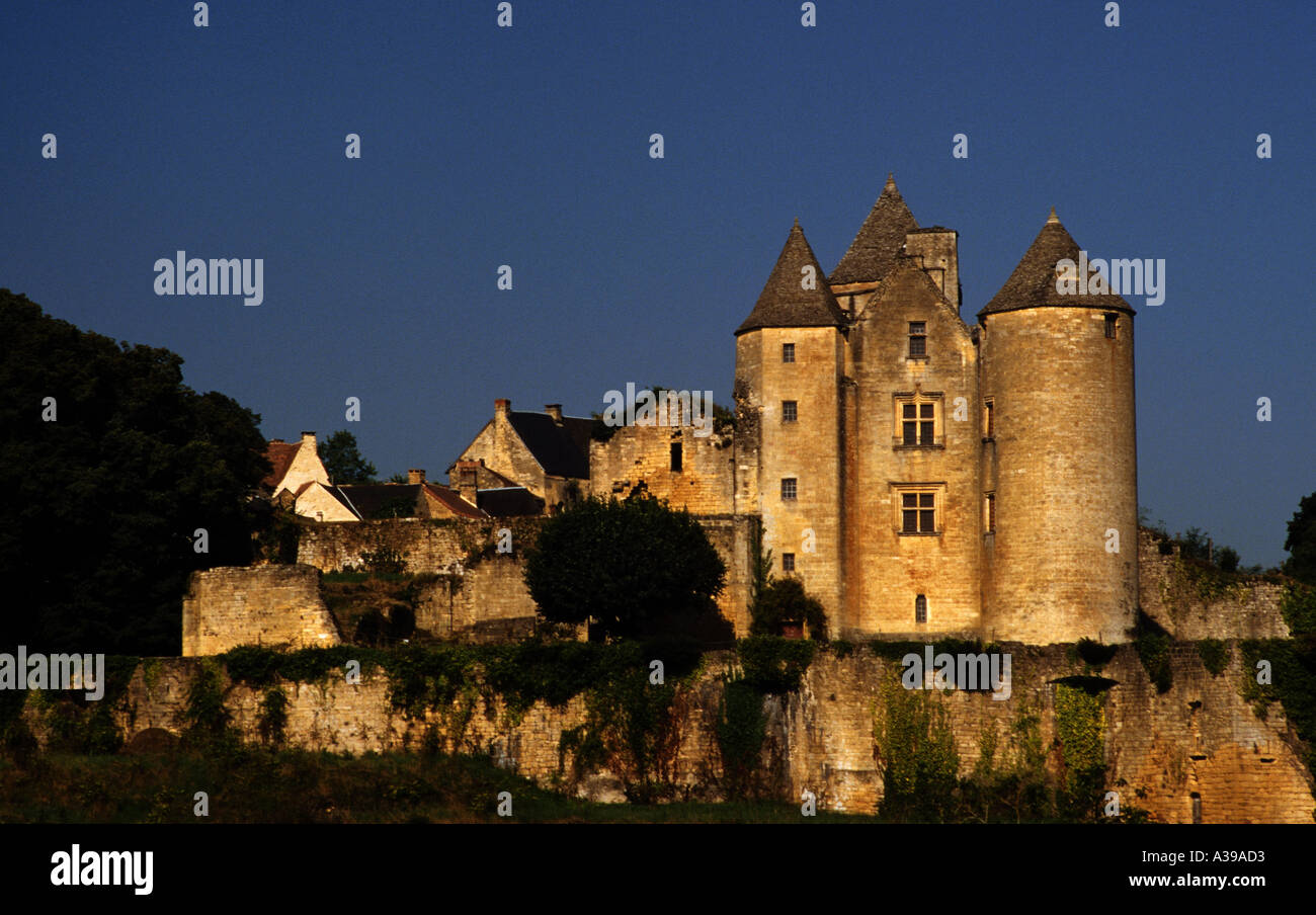 Salignac Chateau Dordogne region South West France Stock Photo - Alamy