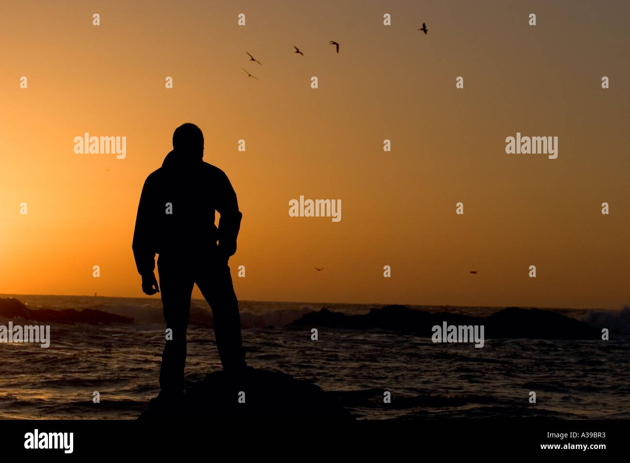 Young man standing on rock silhouetted against the sun and ocean Stock ...
