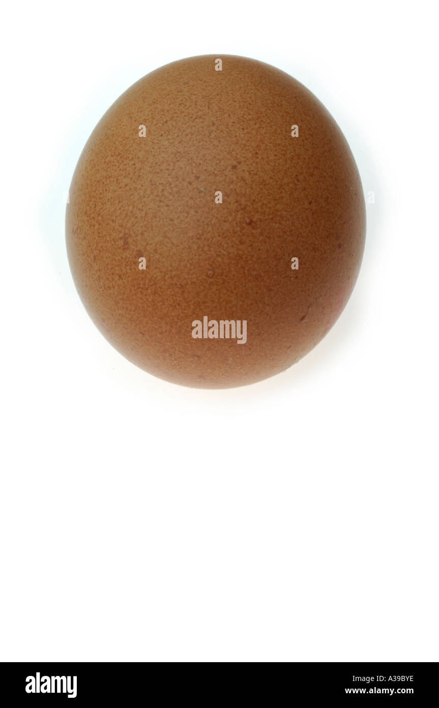 Simple Egg on a white background Stock Photo - Alamy