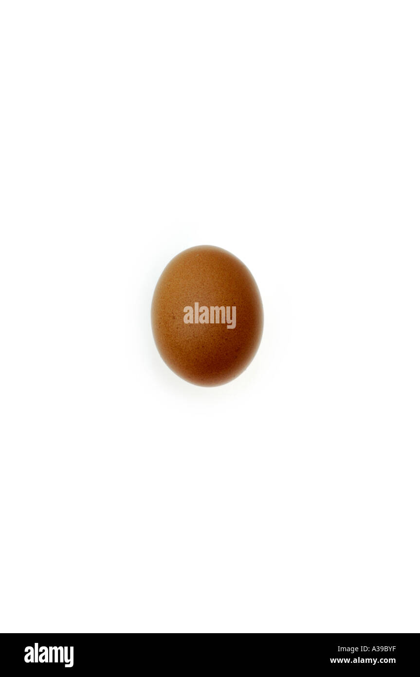 Simple Egg on a white background Stock Photo - Alamy