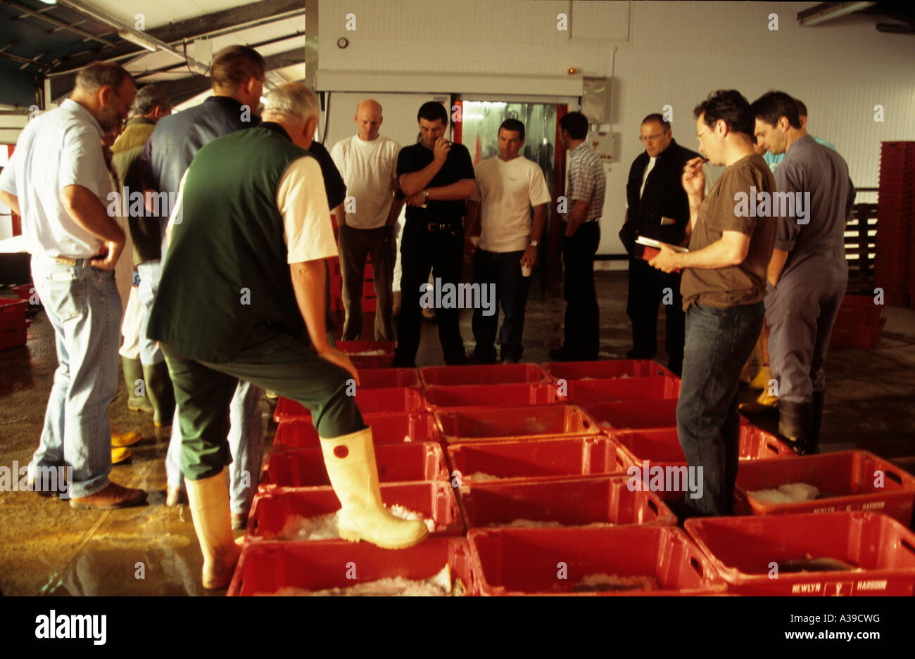 Fish market Newlyn Cornwall UK Stock Photo - Alamy