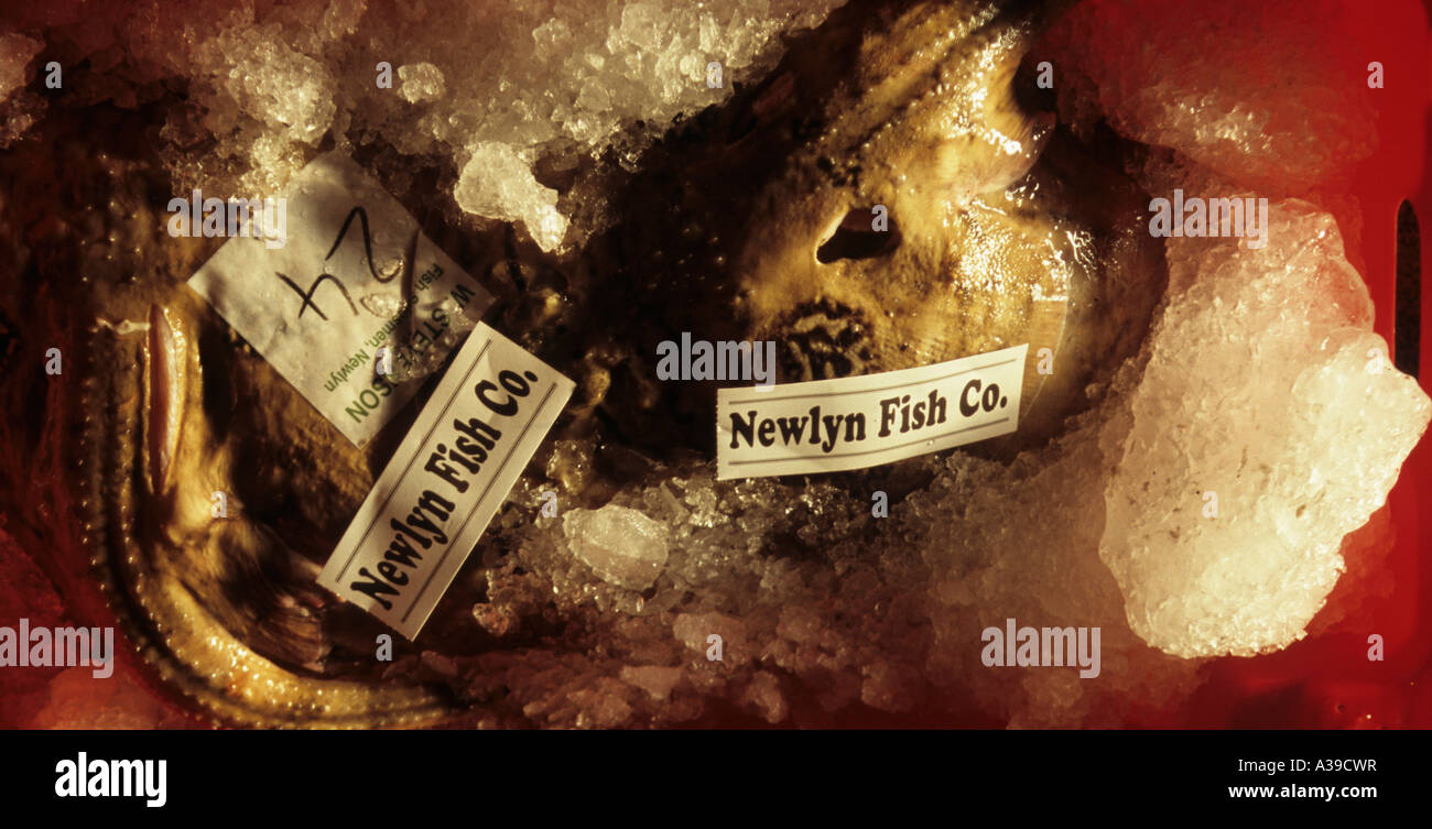 Fish market Newlyn Cornwall UK Stock Photo - Alamy