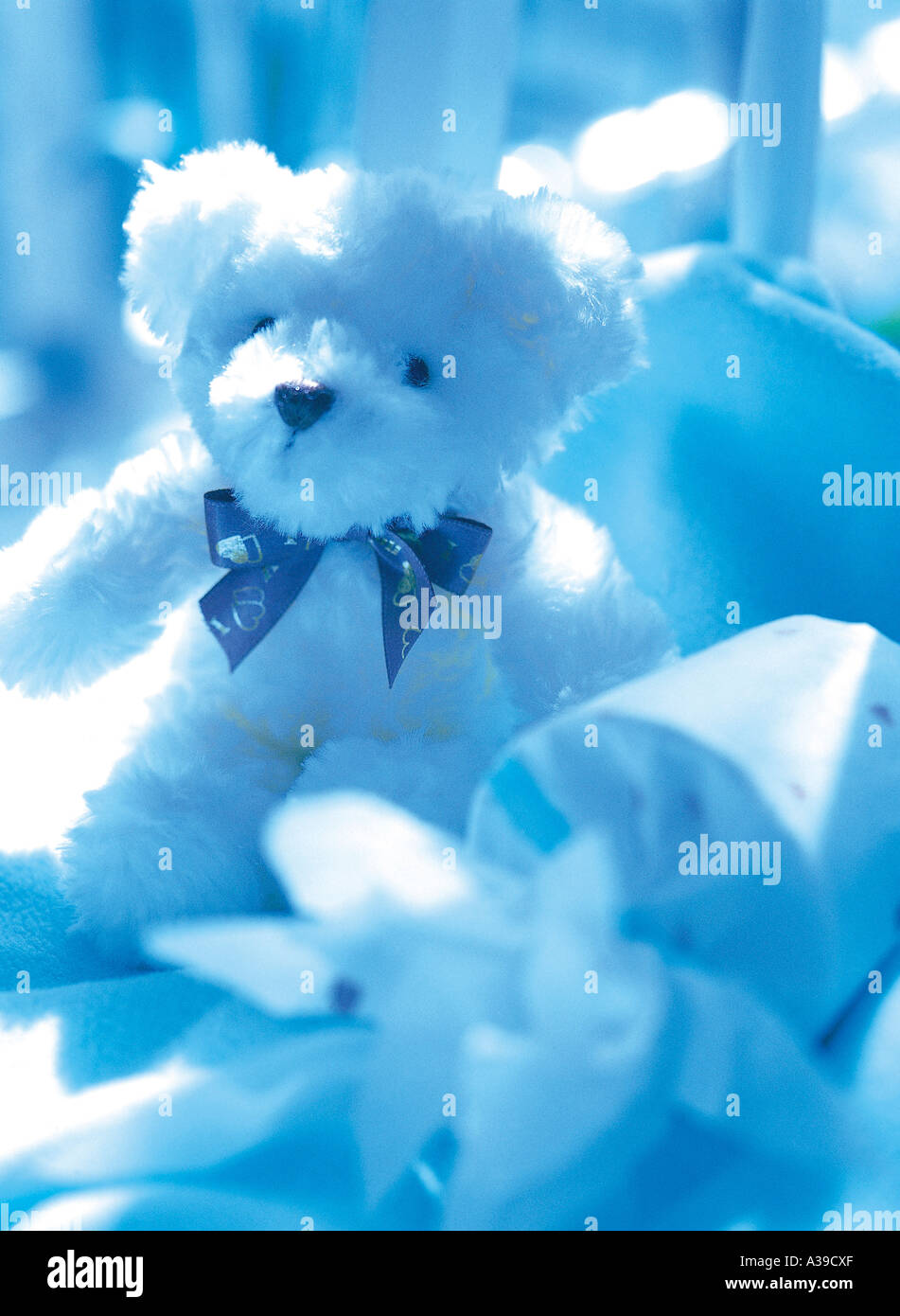 a cute teddy bear with a ribbon tie Stock Photo - Alamy