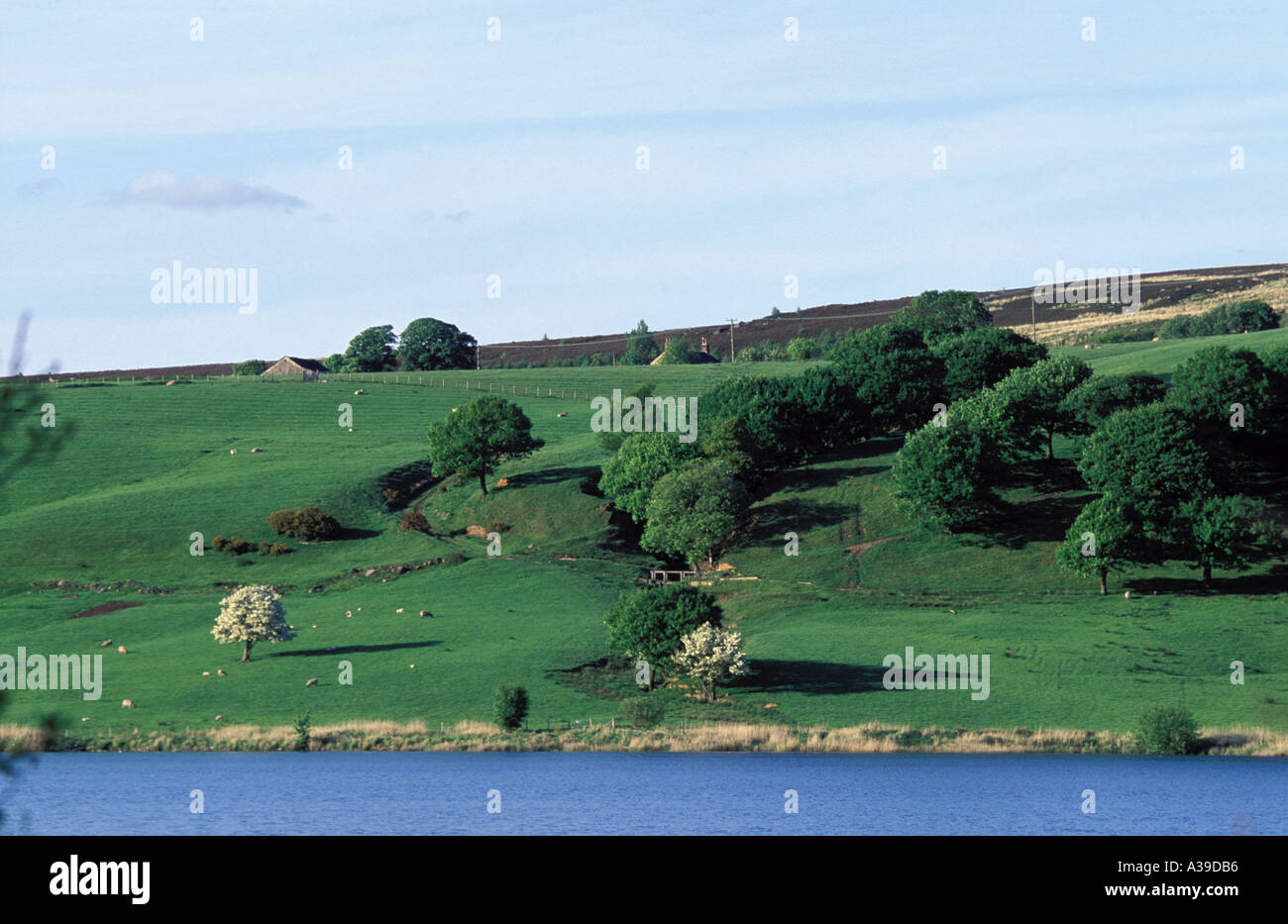 Anglezarke lake hi-res stock photography and images - Alamy