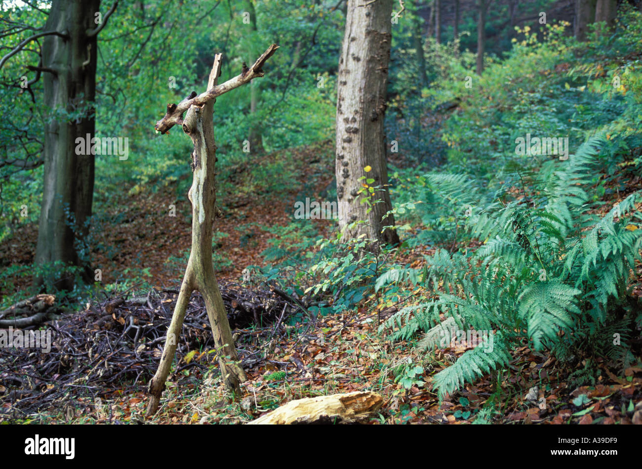 Woodland blair witch type effigy hi-res stock photography and images ...