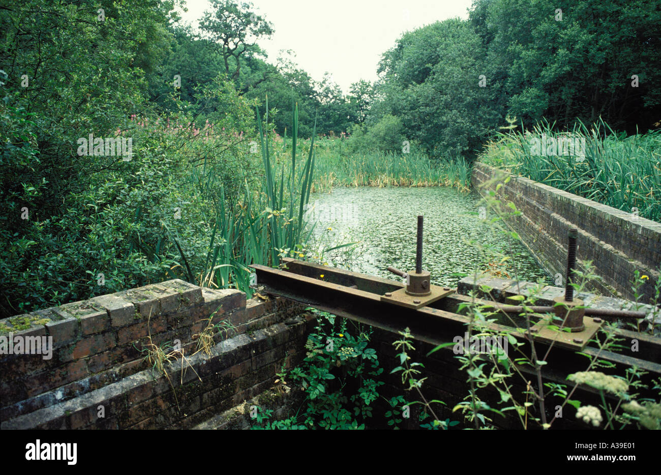 Restored pools by a canal Withnell Fold Lancashire Stock Photo - Alamy