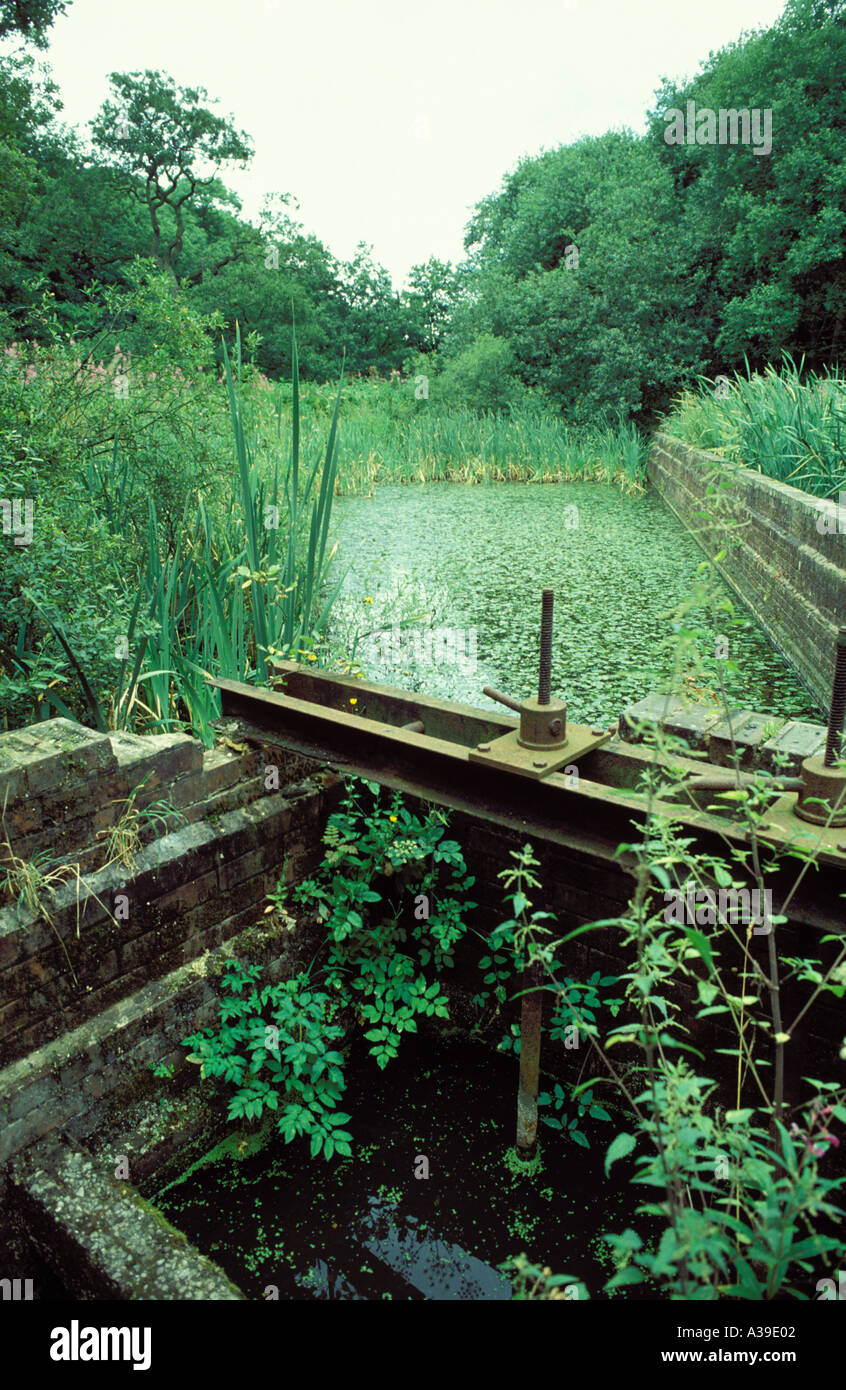 Withnell fold hi-res stock photography and images - Alamy