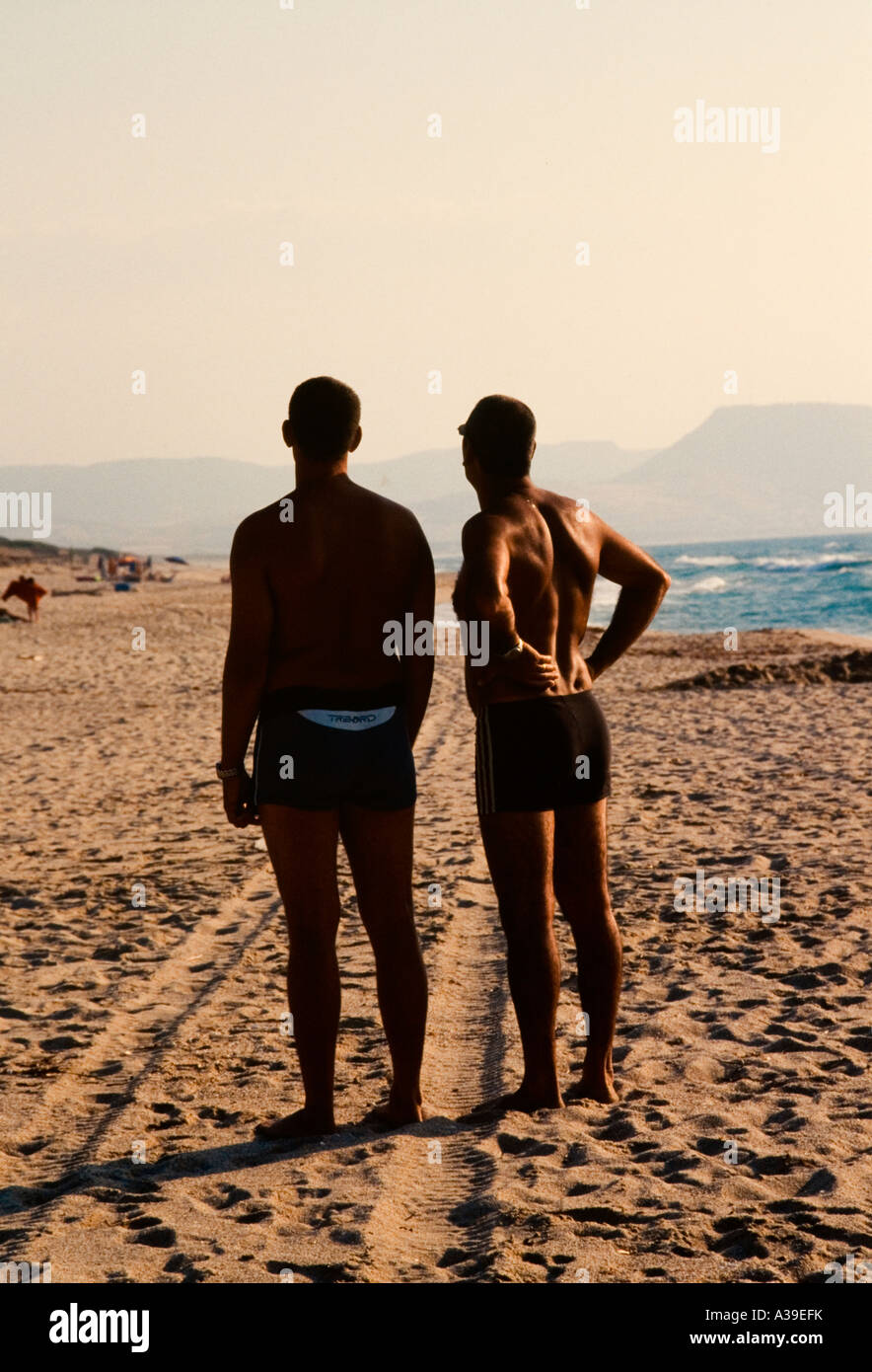 beach, landscape, by far, sand, shells, sea, sky, clouds, summer, dunes ...