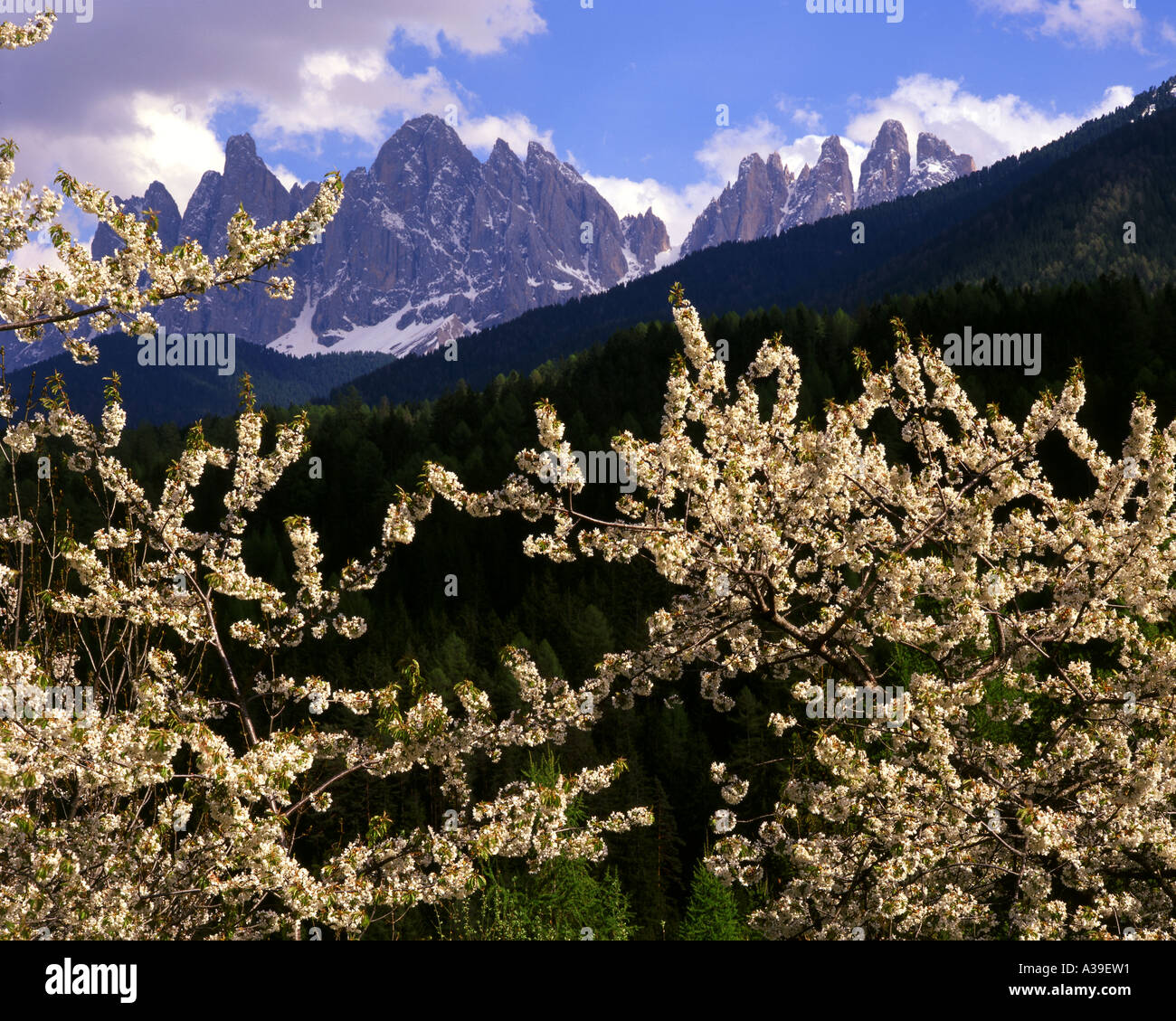 IT - DOLOMITES: Springtime in Val de Funes with Geisler Peaks in ...