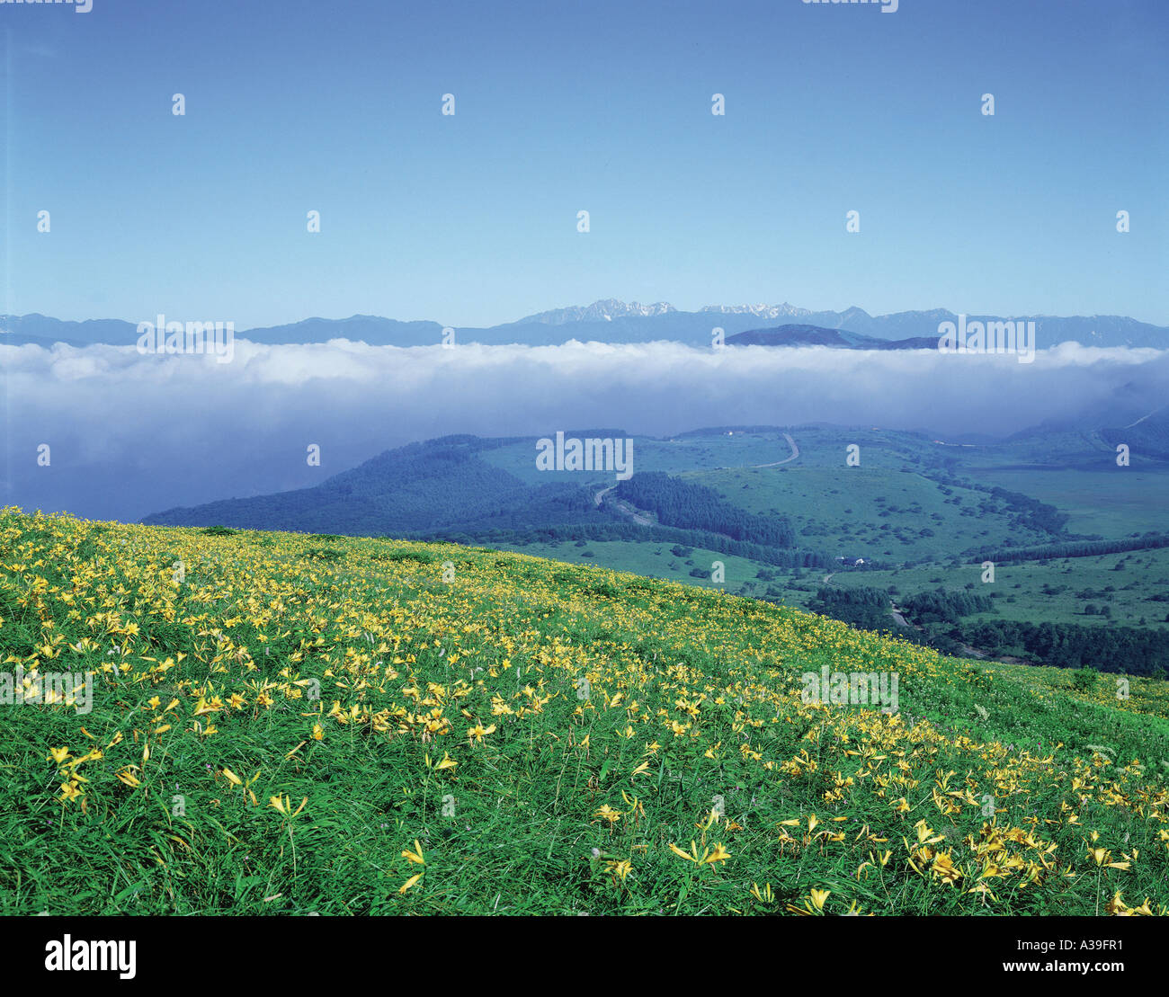 Outdoor exterior day daytime daylight nature scene scenery landscape ...