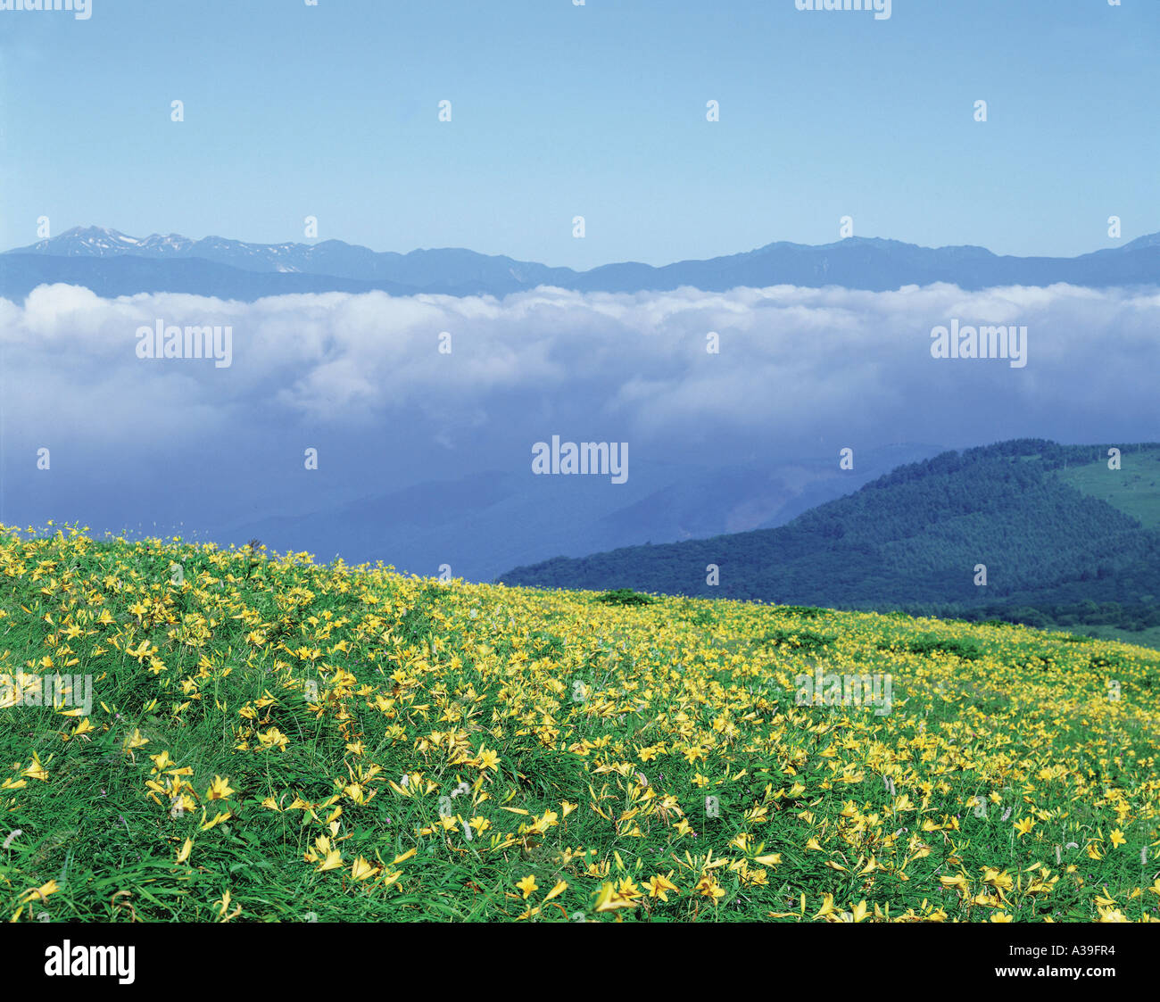 Outdoor exterior day daytime daylight nature scene scenery landscape ...