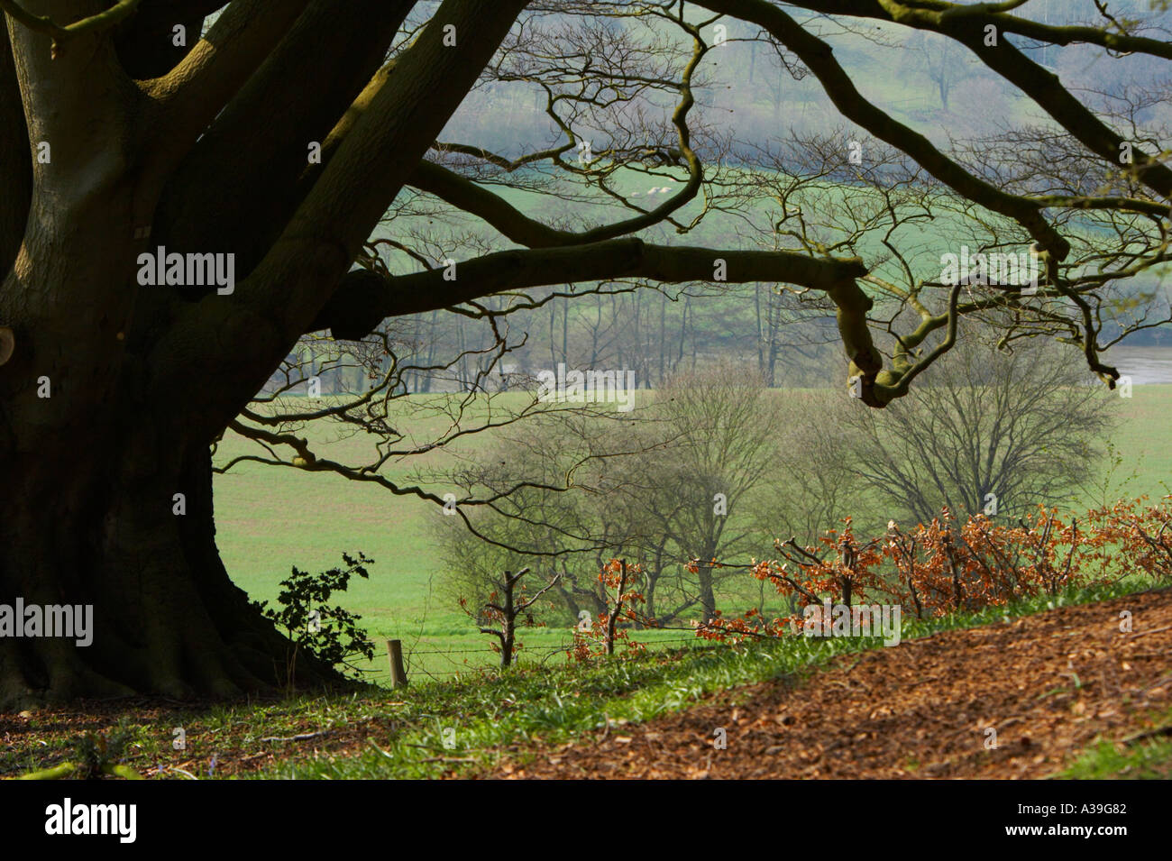 Framing view hi-res stock photography and images - Alamy