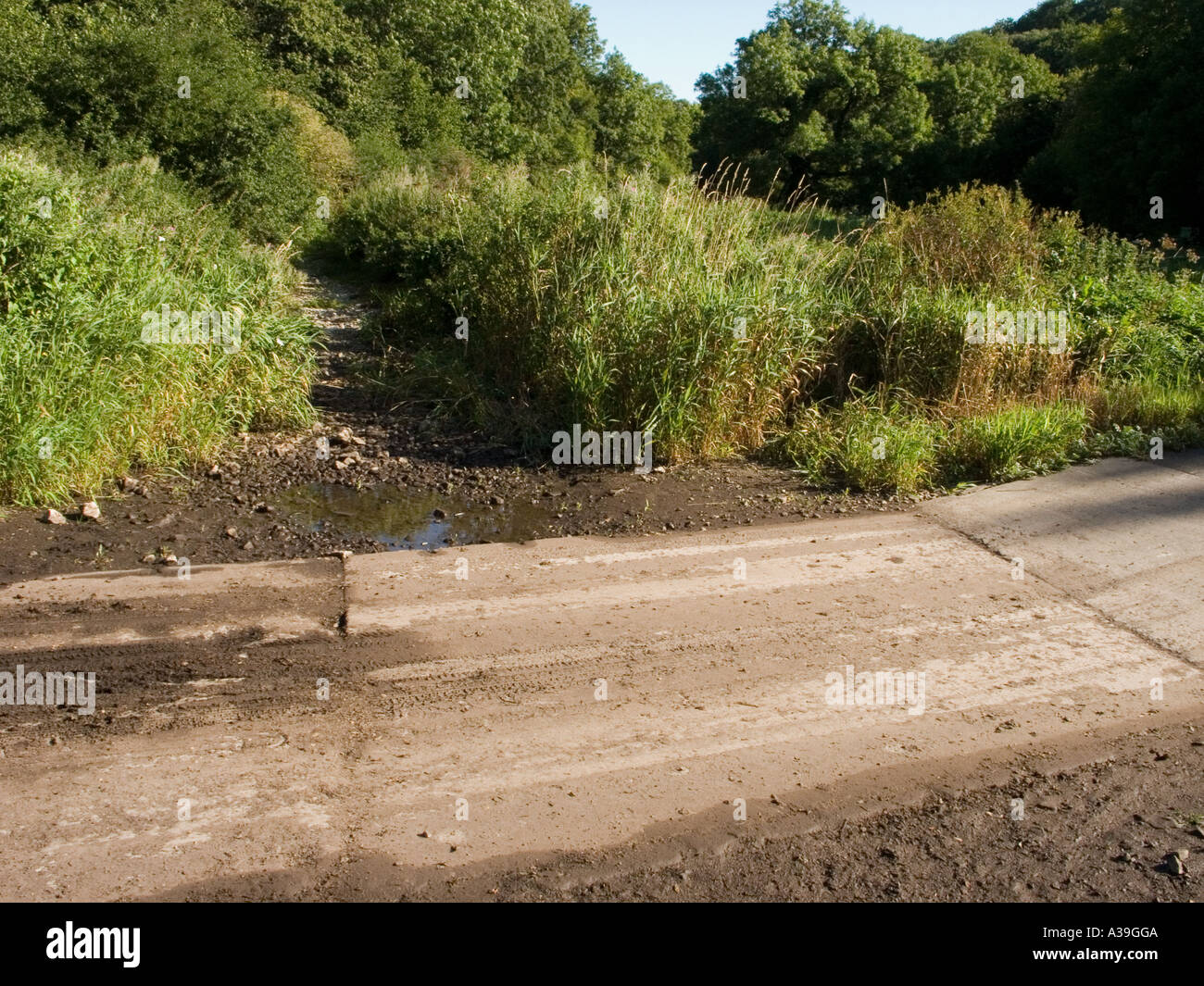dried river ford showing empty river bed Stock Photo - Alamy