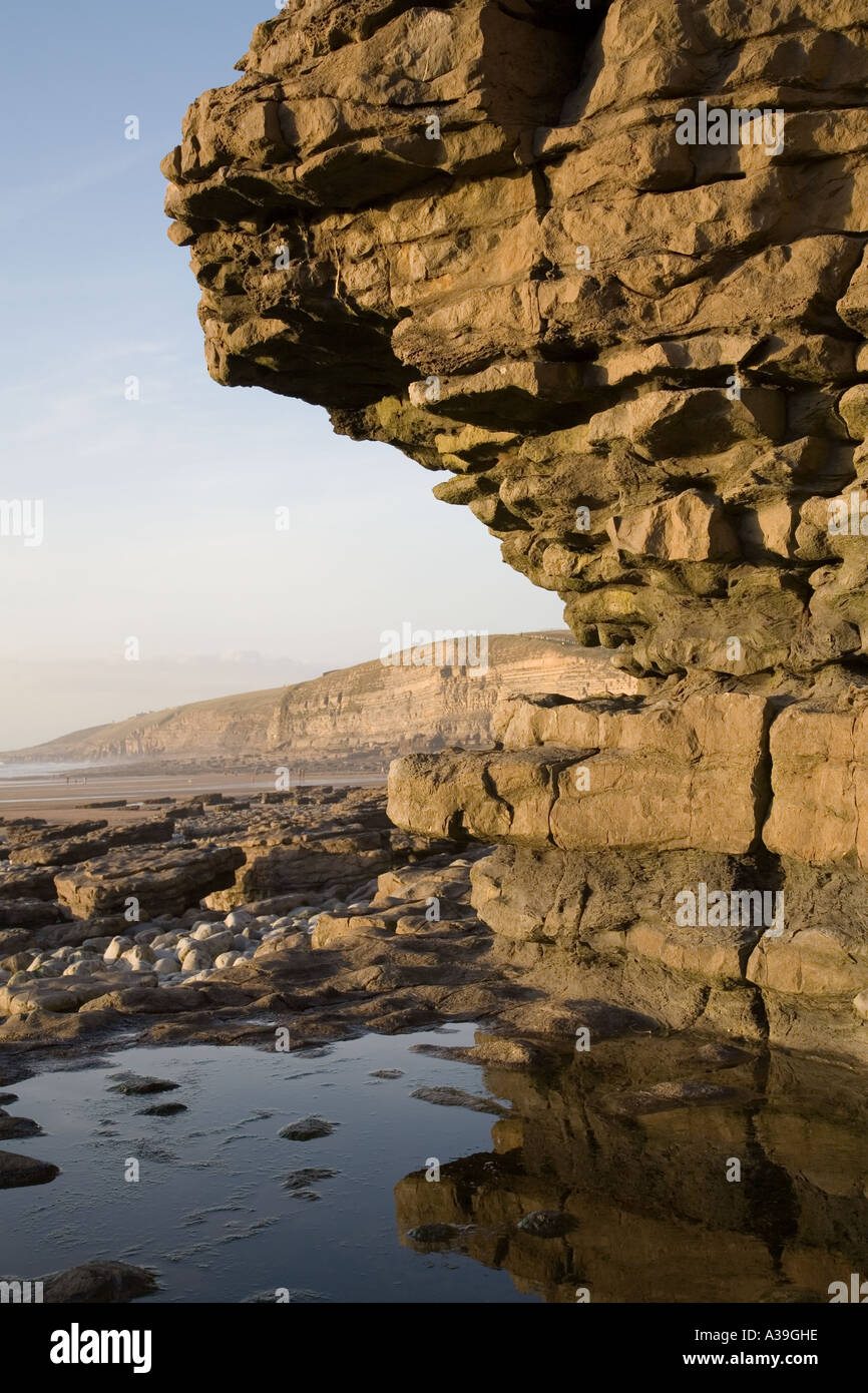 A highly stratified limestone and shale sea cliff in warm evening light ...