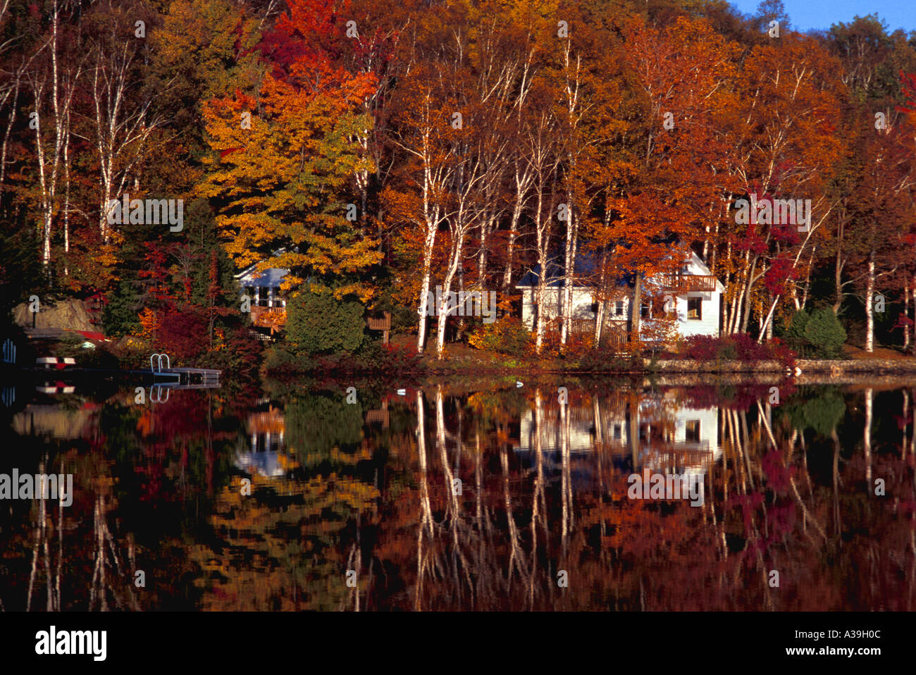 Lake front habitat hi-res stock photography and images - Alamy