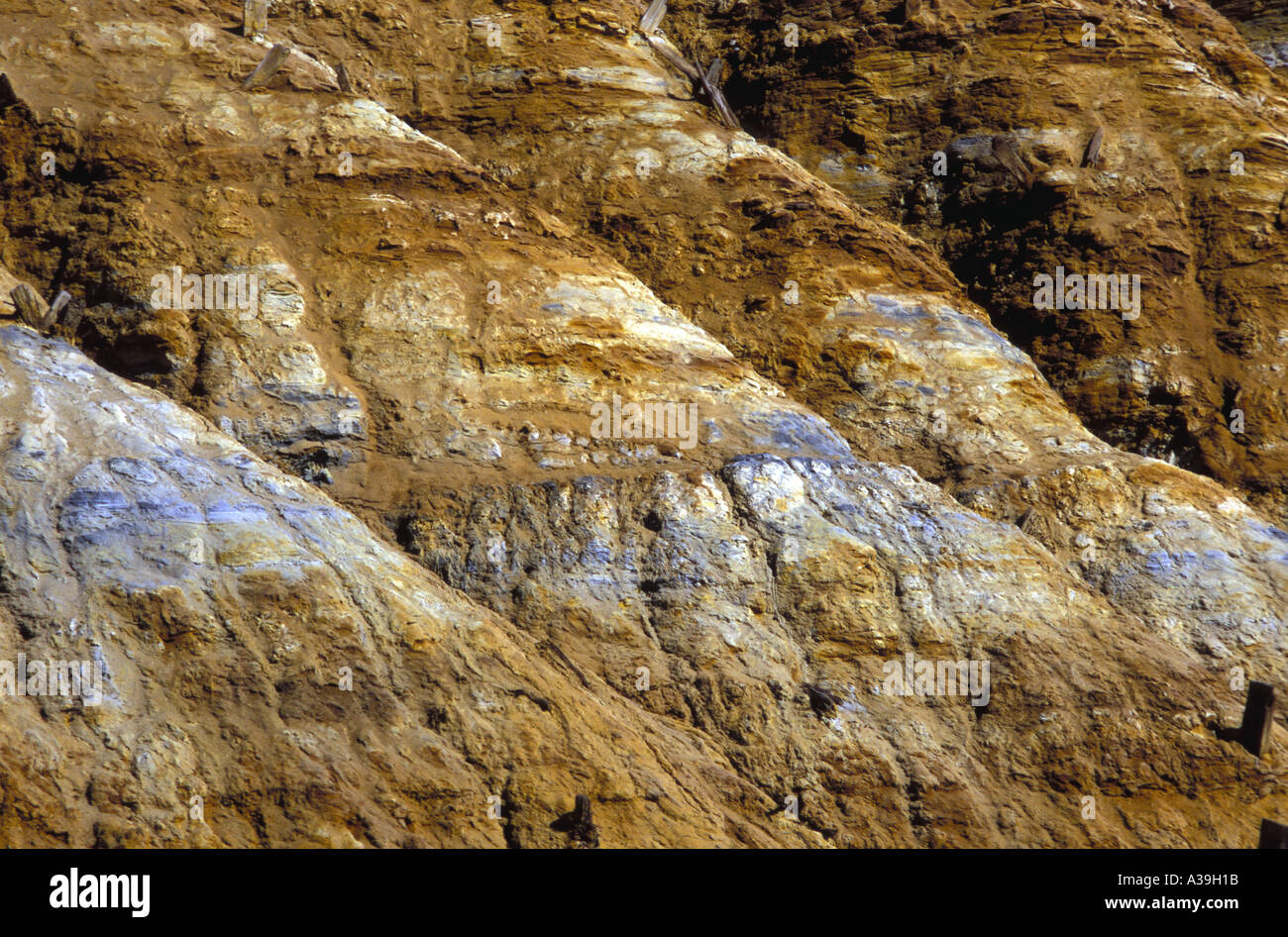 Badlands Southern Alberta Canada Stock Photo - Alamy