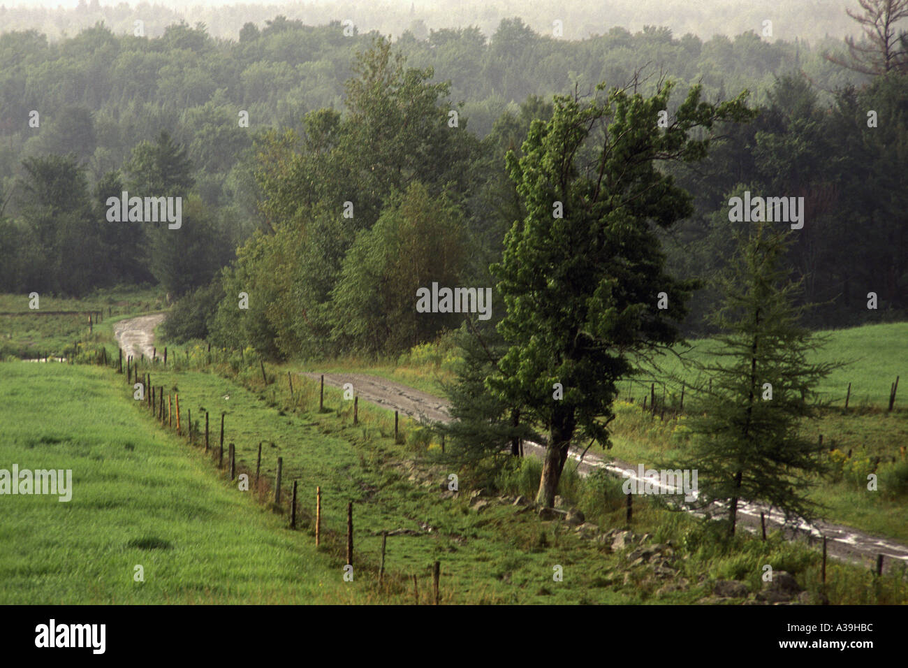 Green scenic countryside Stock Photo - Alamy