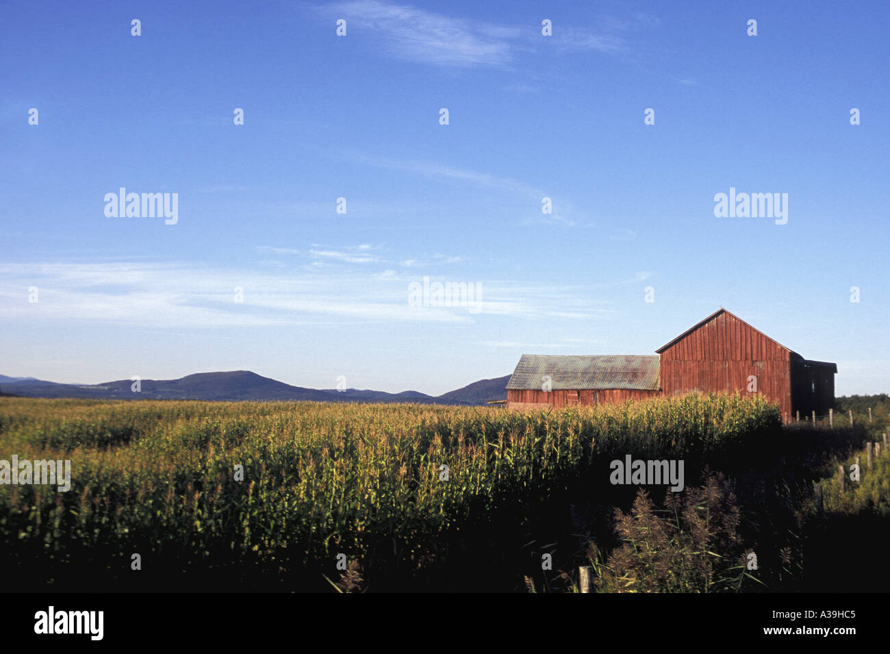 Wide open spaces of farmland Stock Photo - Alamy