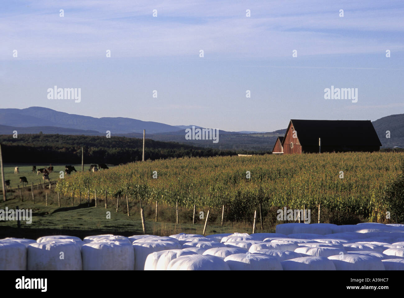 Wide open farmland Stock Photo - Alamy