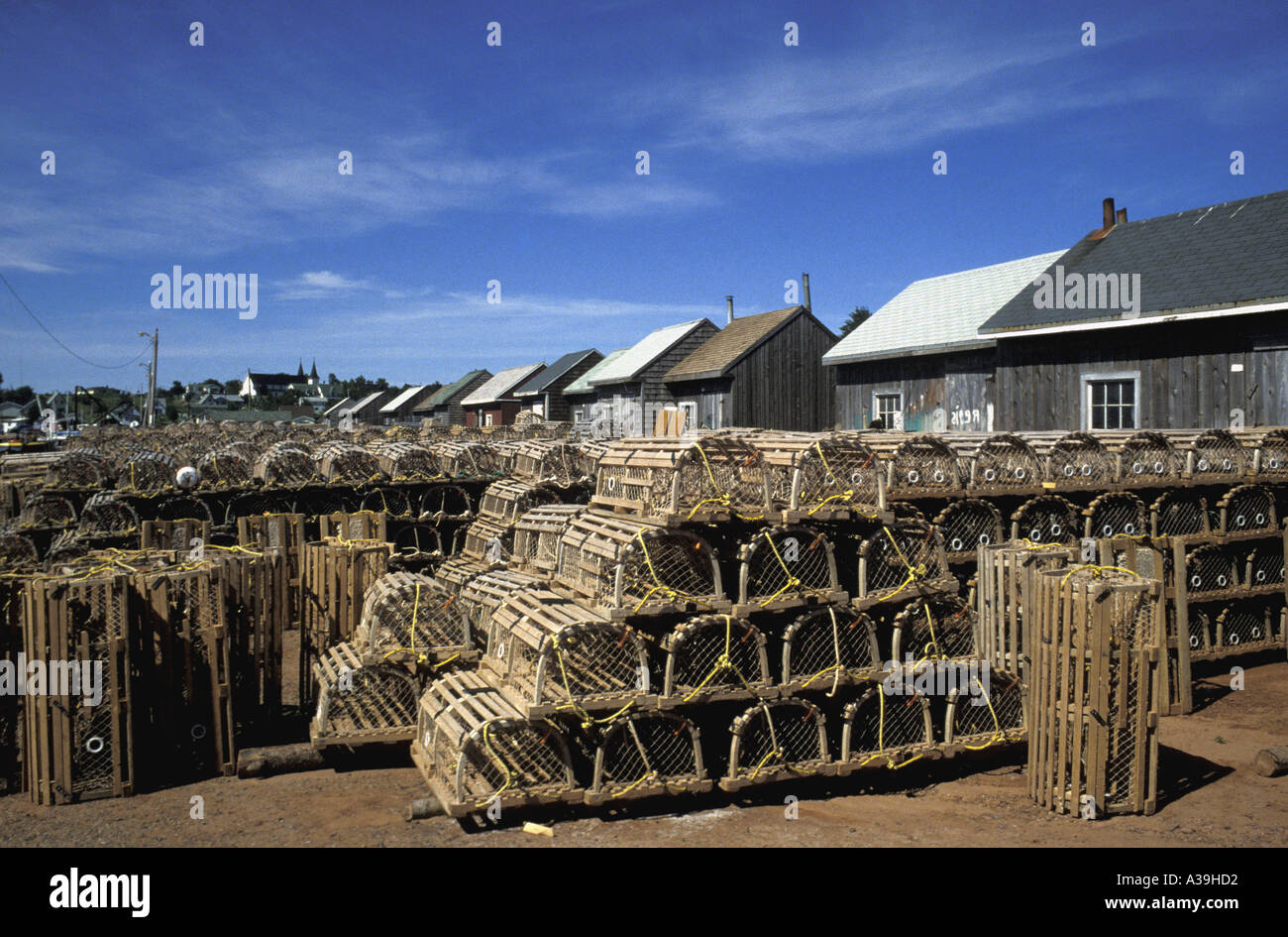 Rows of lobster pens Stock Photo - Alamy