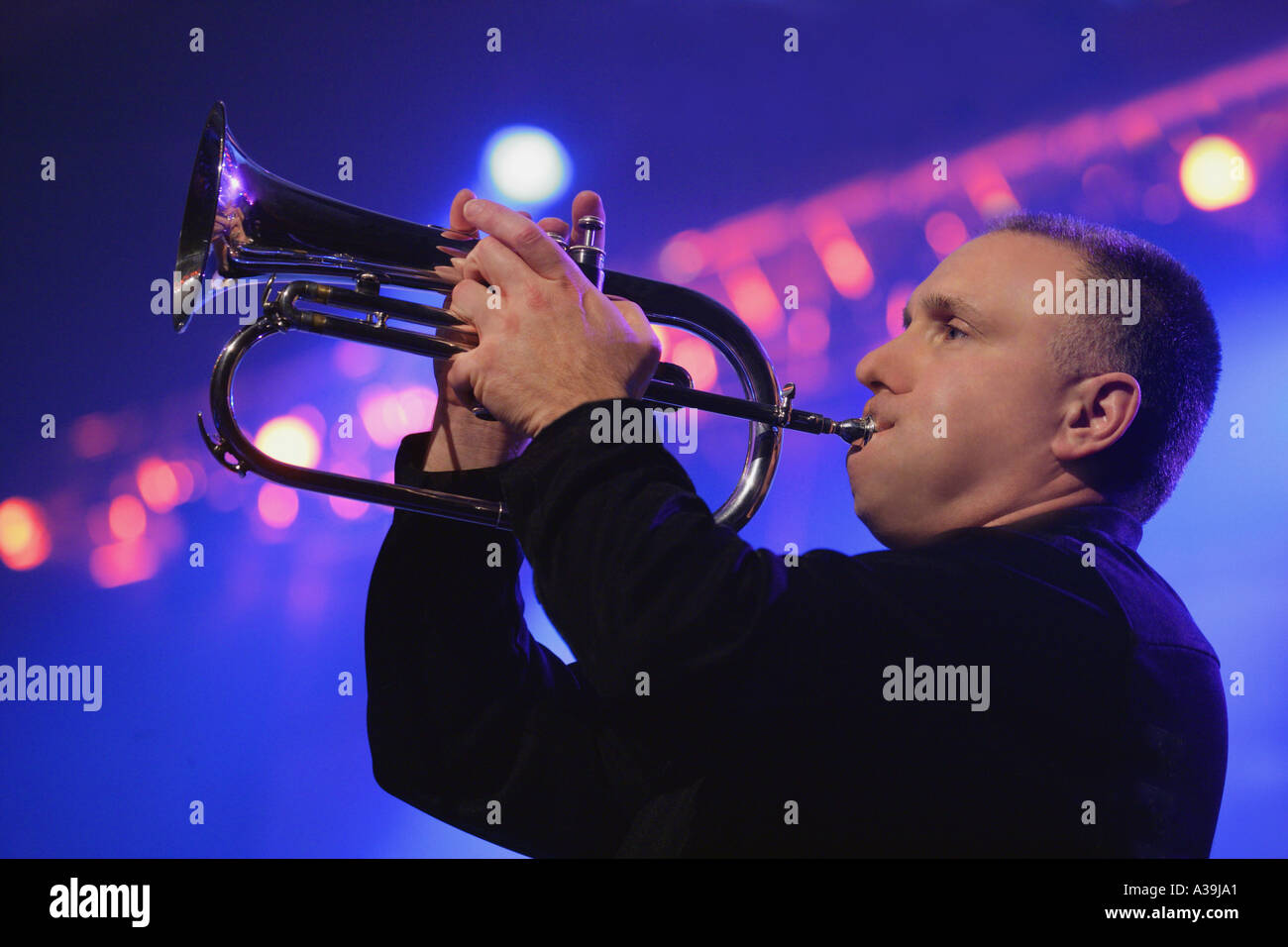 Man playing trumpet Stock Photo - Alamy