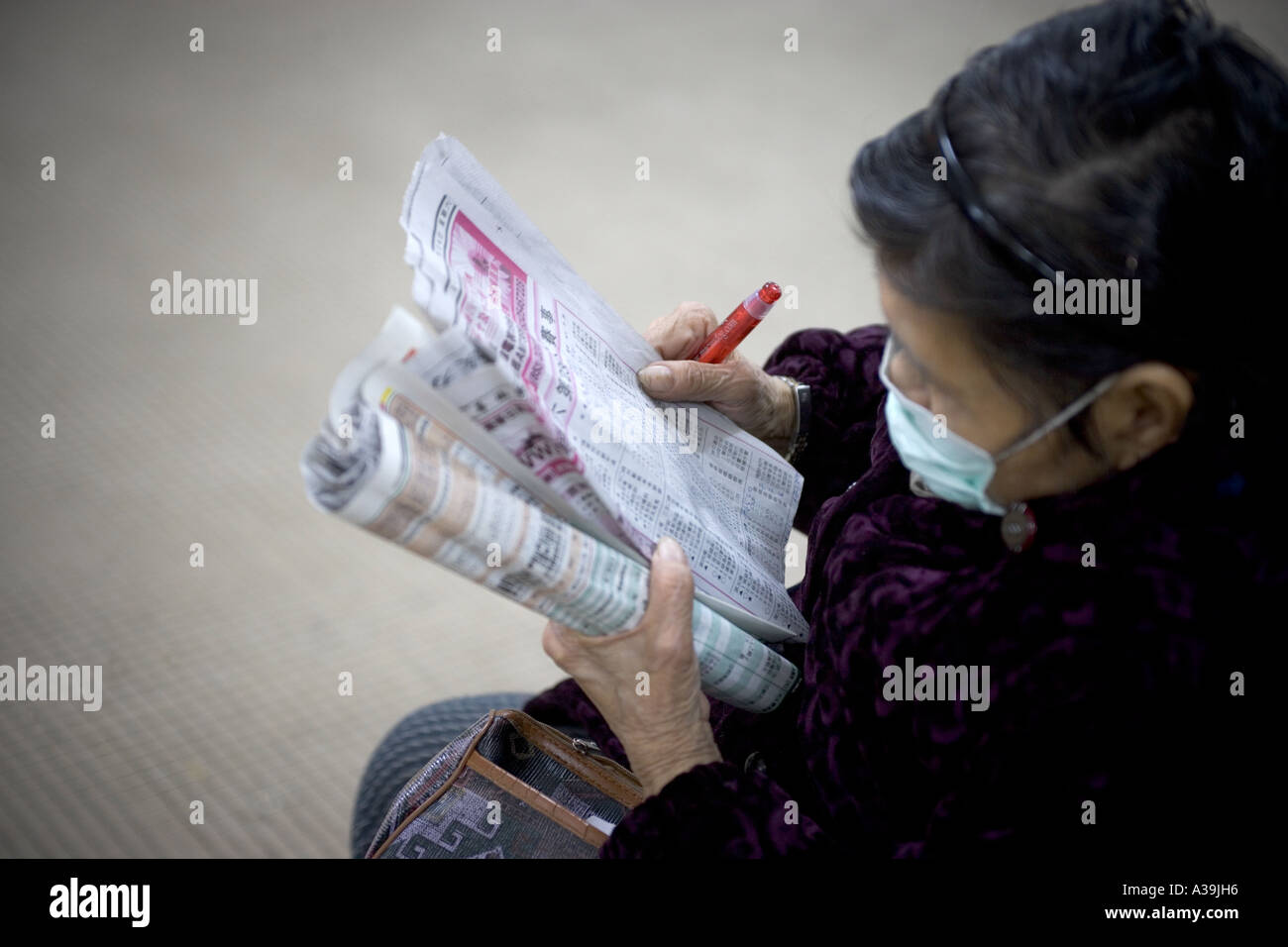 Checking the Form Canidrome Greyhound Stadium Macau Stock Photo - Alamy