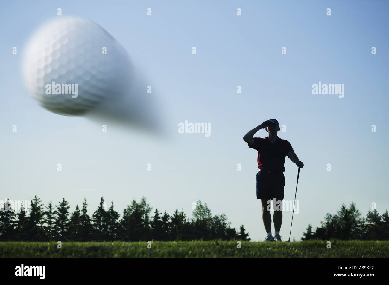 Golf ball in flight Stock Photo - Alamy